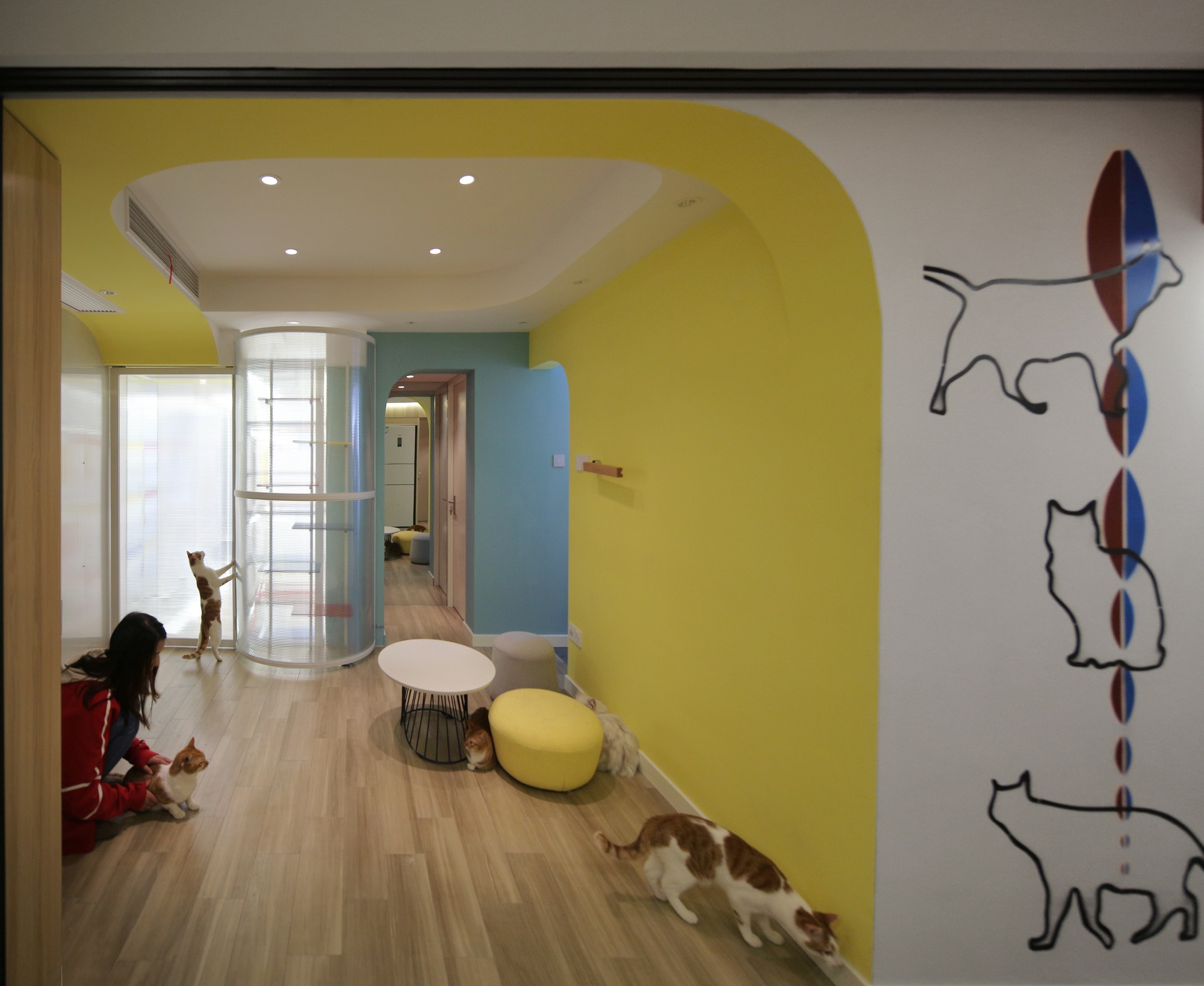 Gallery of Home of Pets / HDD - 15