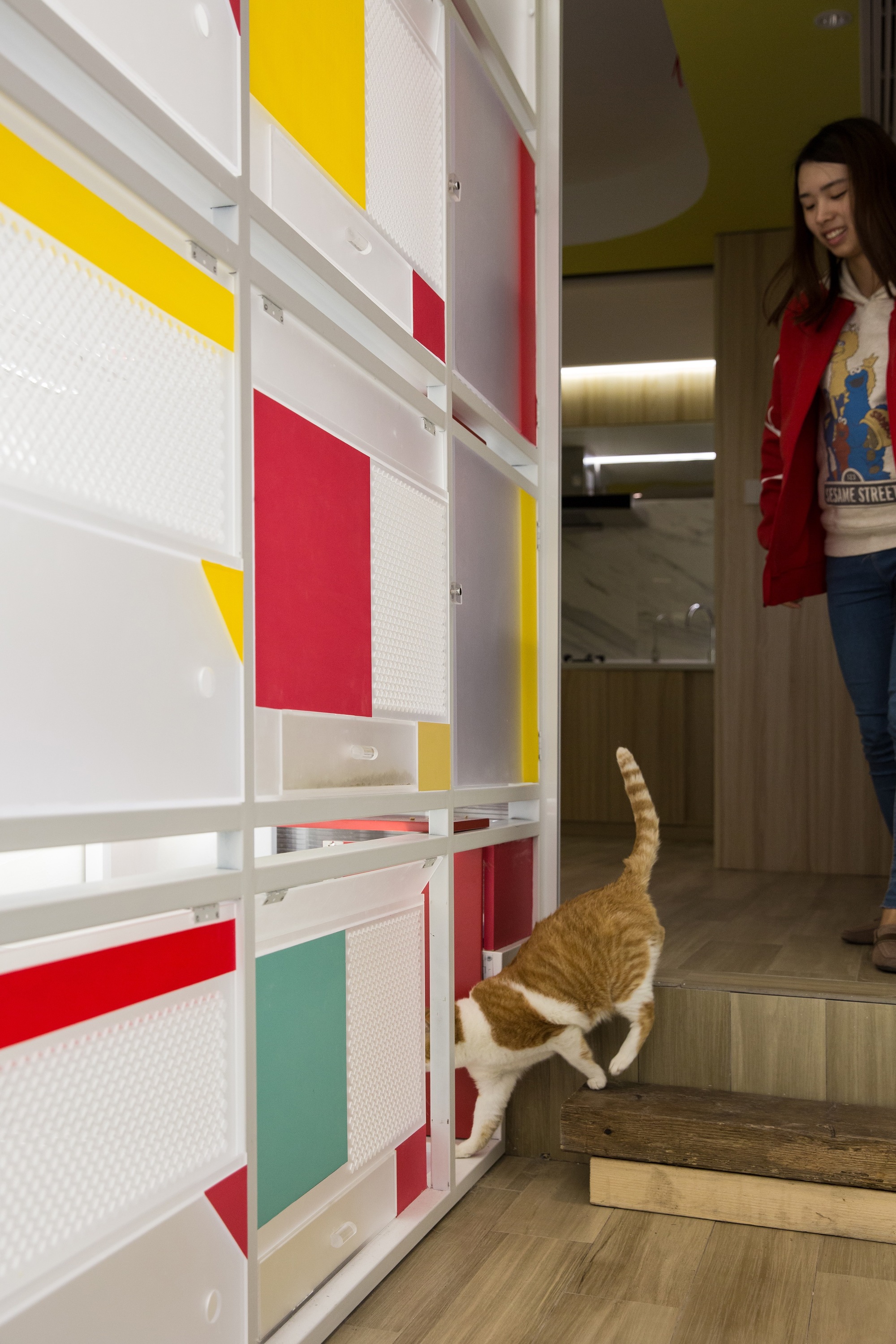 Gallery of Home of Pets / HDD - 28