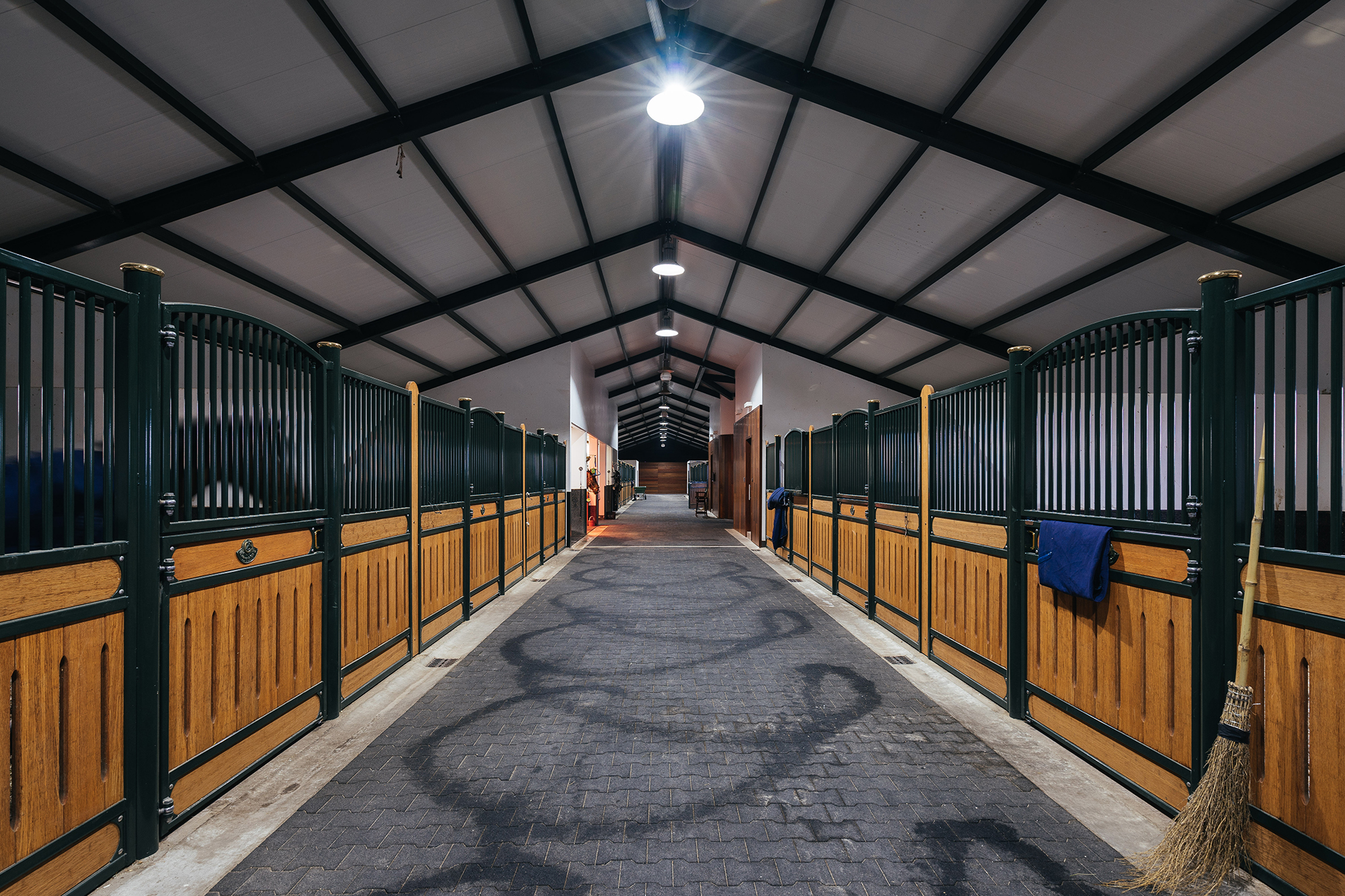 Galería de Picadero de Caballos en Finca Ganadera / OOIIO Arquitectura - 13