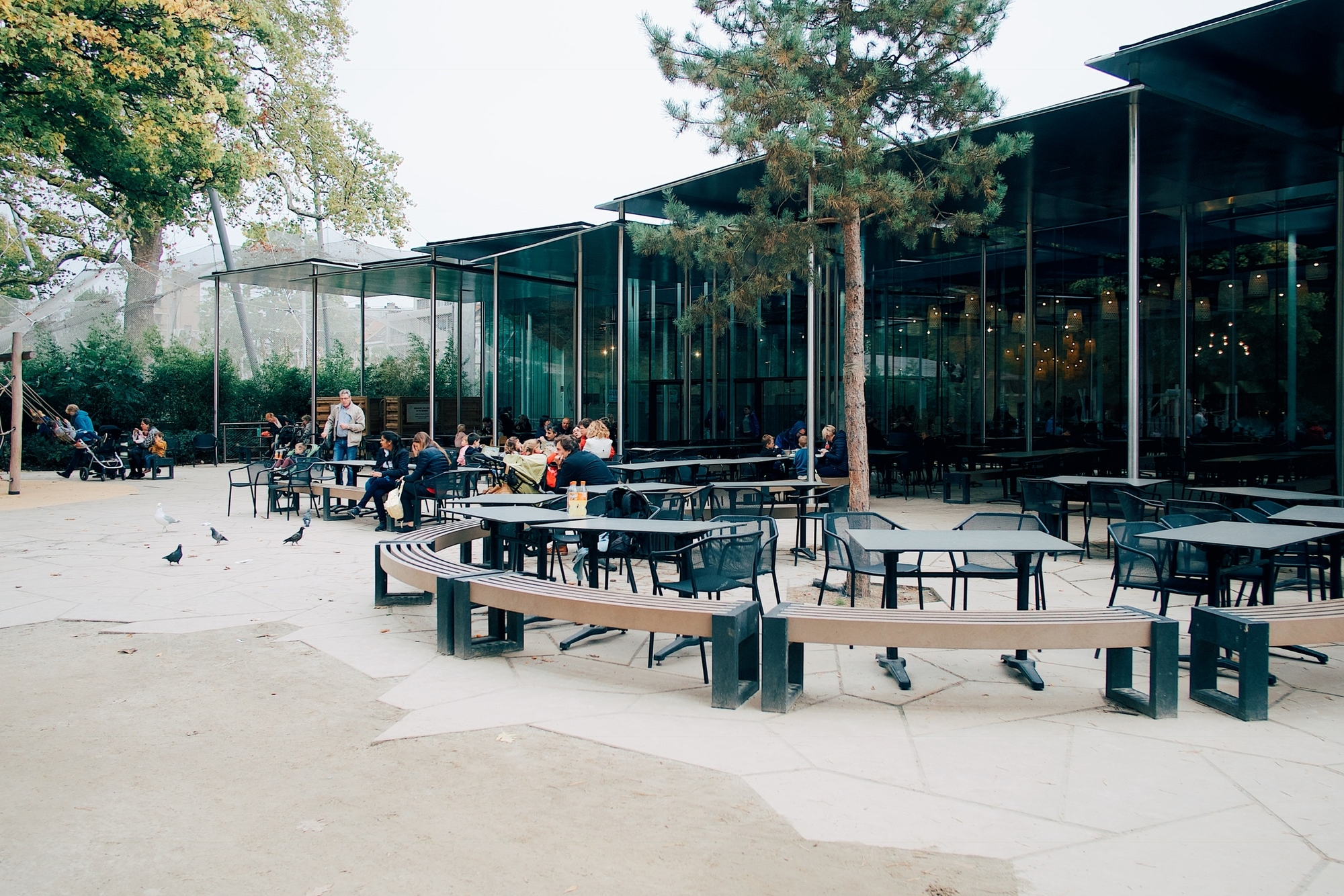 Gallery of Restaurant and Aviary at the Antwerp Zoo / Studio Farris ...