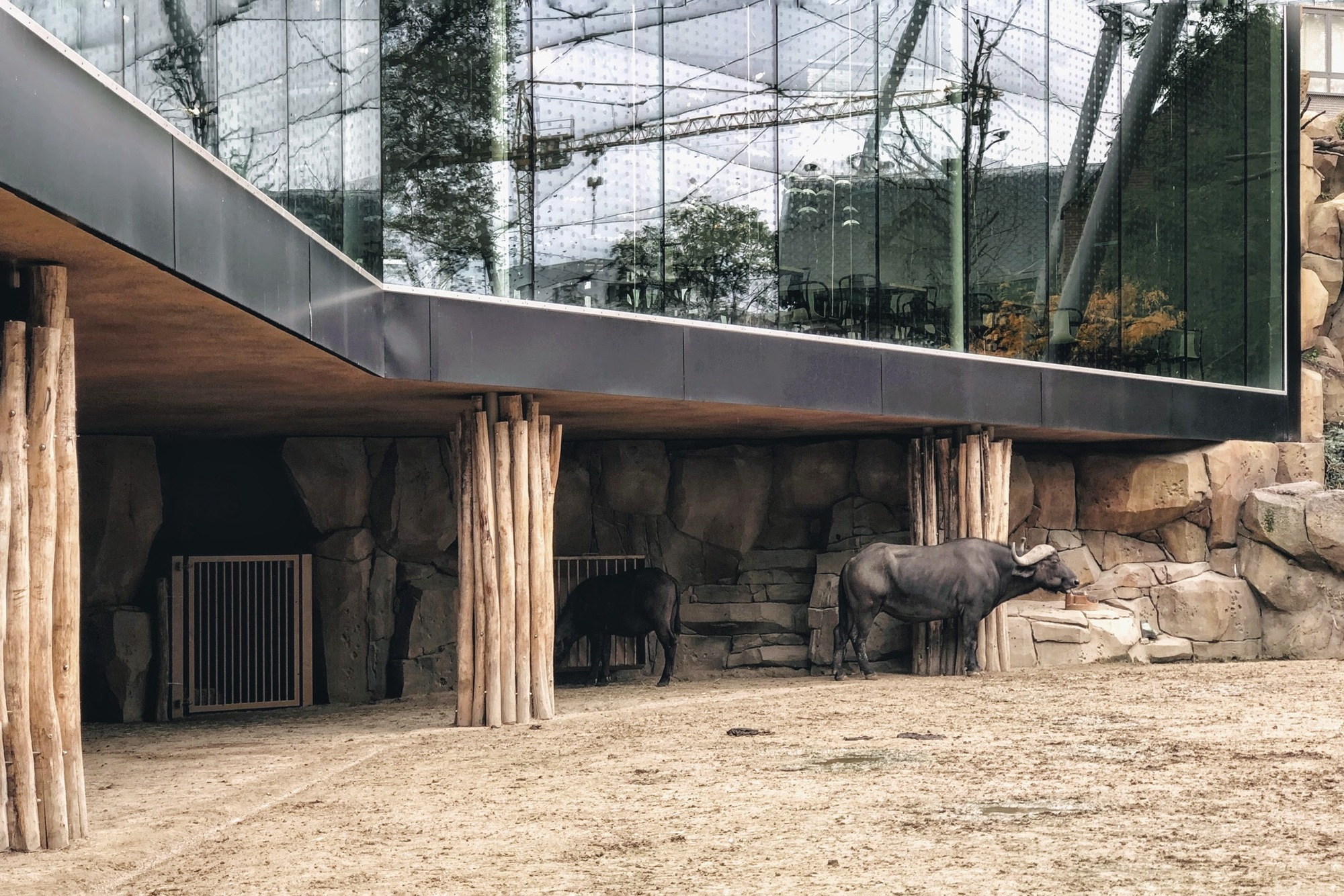 Gallery of Restaurant and Aviary at the Antwerp Zoo / Studio Farris ...