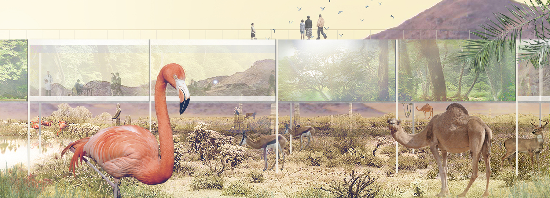 Gallery of Winning Concepts for Zoo of the 21st Century Competition ...
