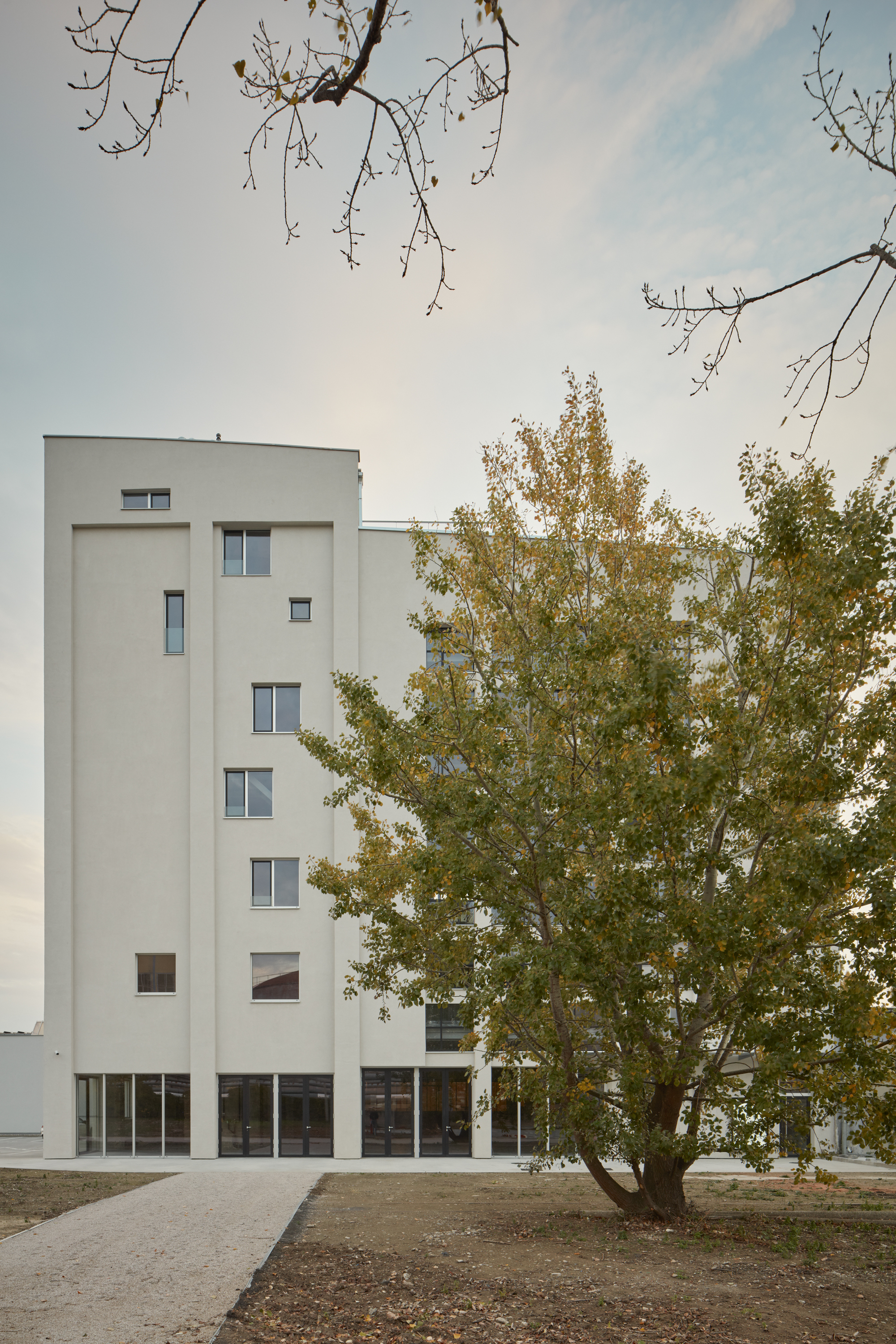 Gallery of The Mill / GutGut - 14