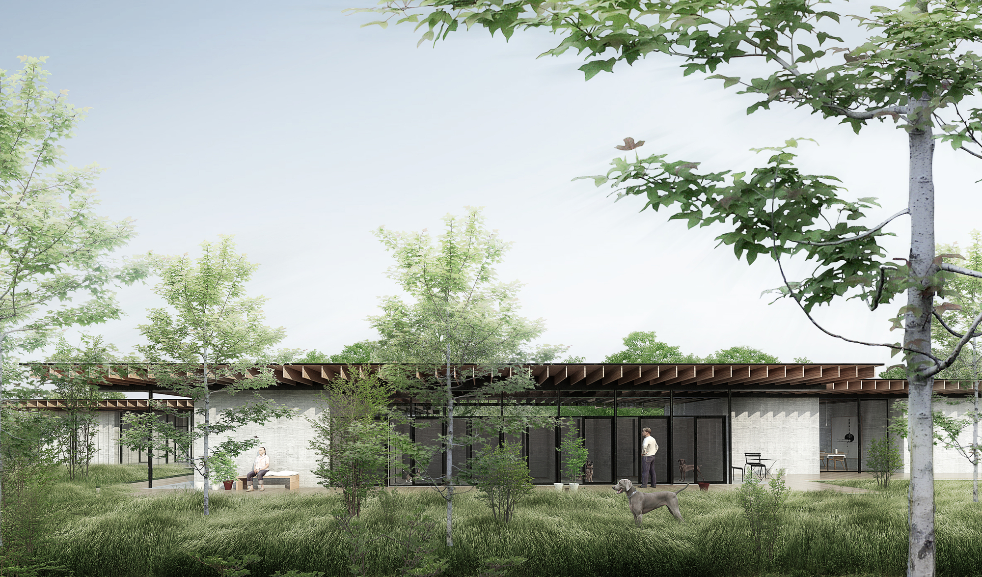 Gallery of Dogchitecture: WE Architecture Designs a Center That ...