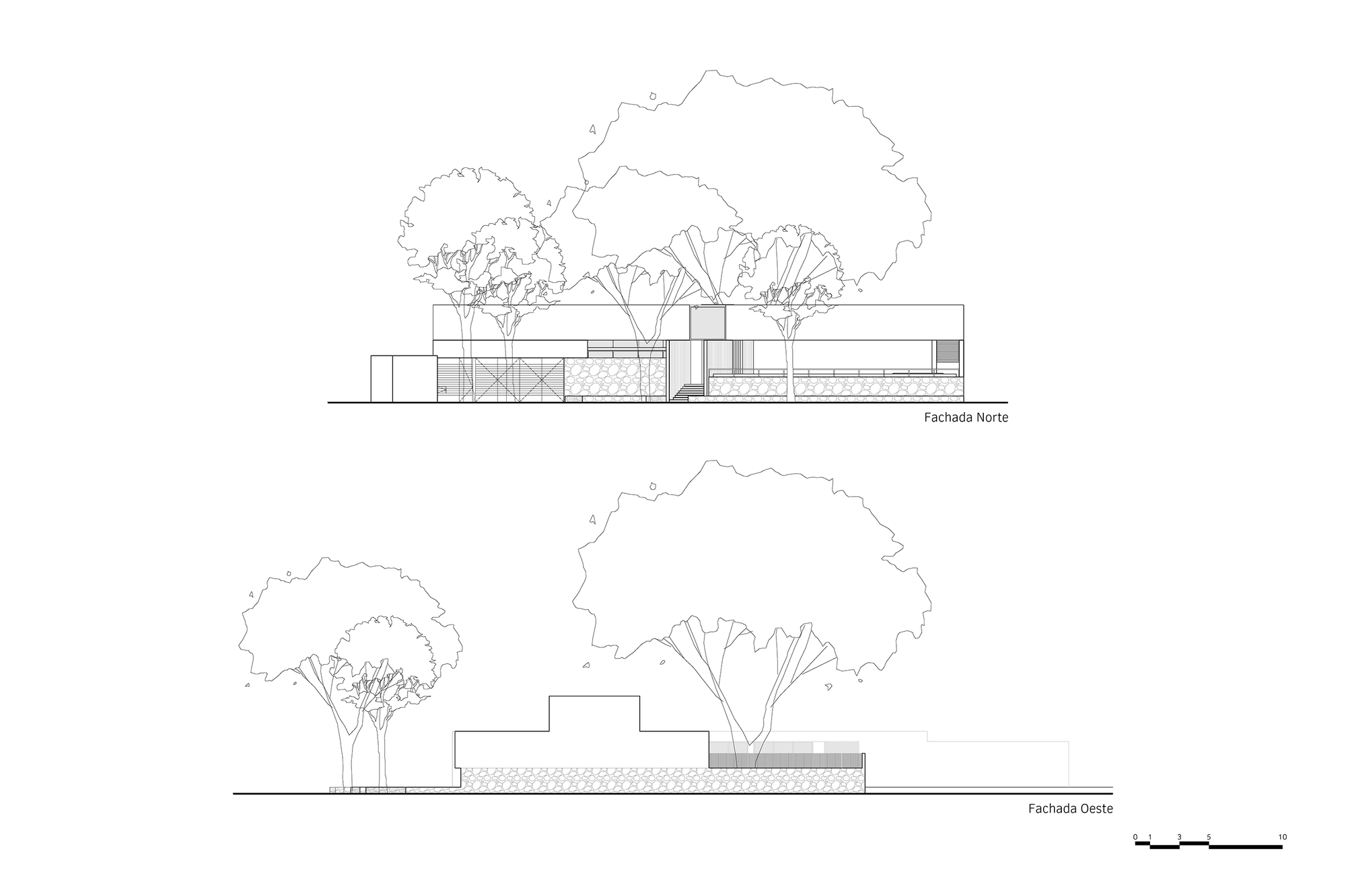 Galería de Casa del Árbol / AS Arquitectura - 20