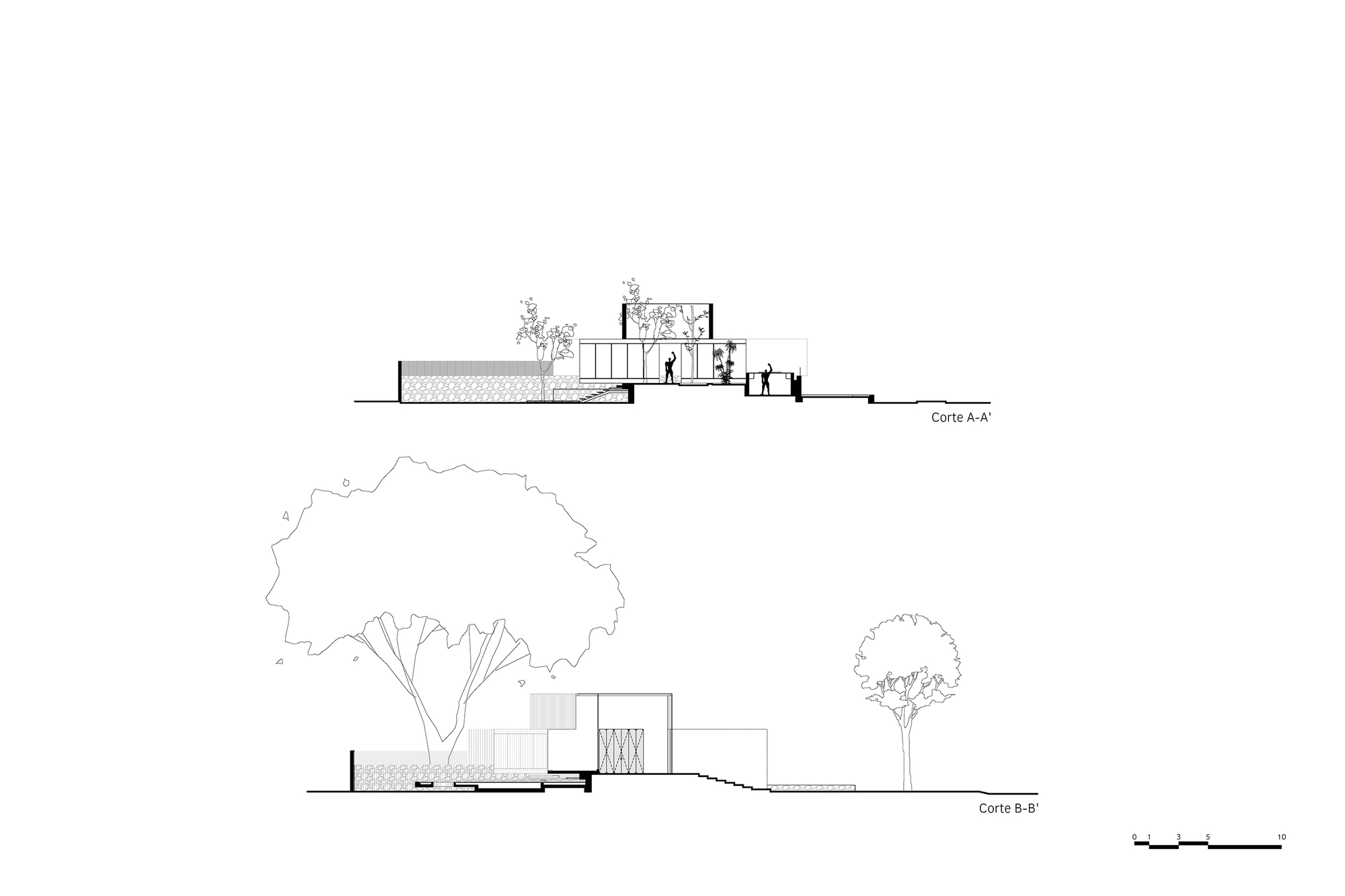 Gallery of The Tree House / AS Arquitectura - 23