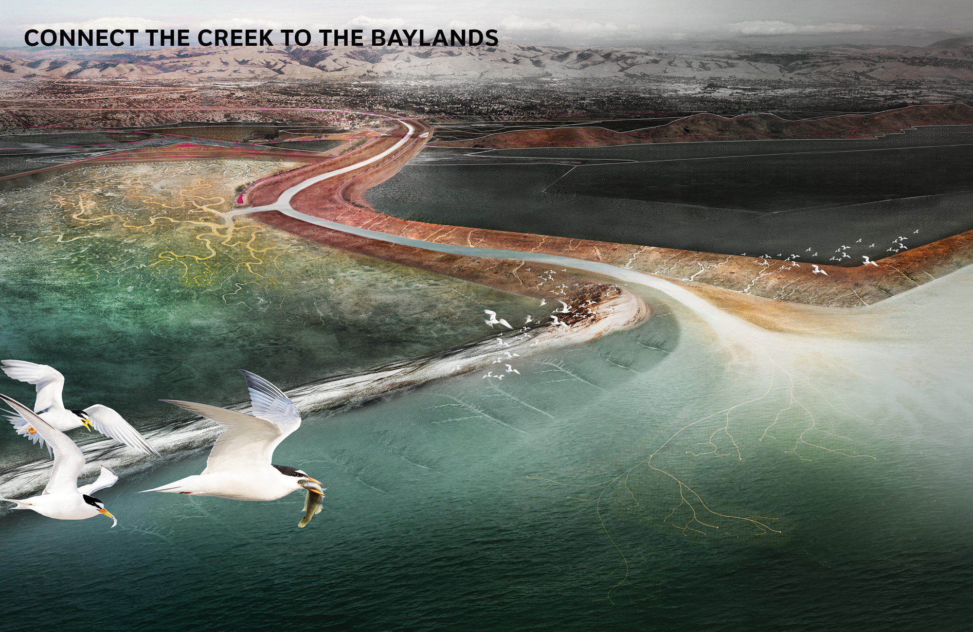 Gallery of Final Winning Design Concepts Released for Resilience by ...