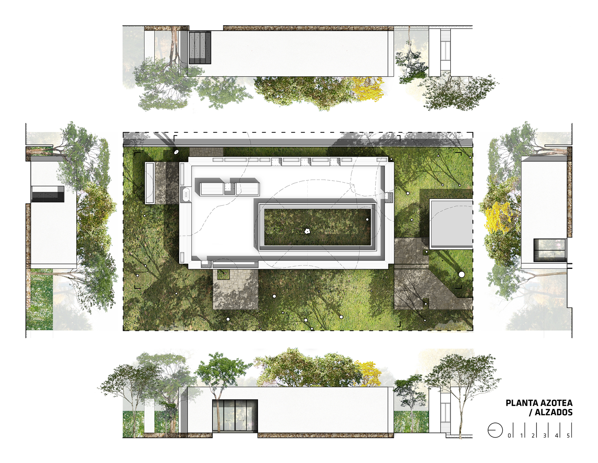 Gallery of Infiltrated Patio / PLUG Architecture - 14