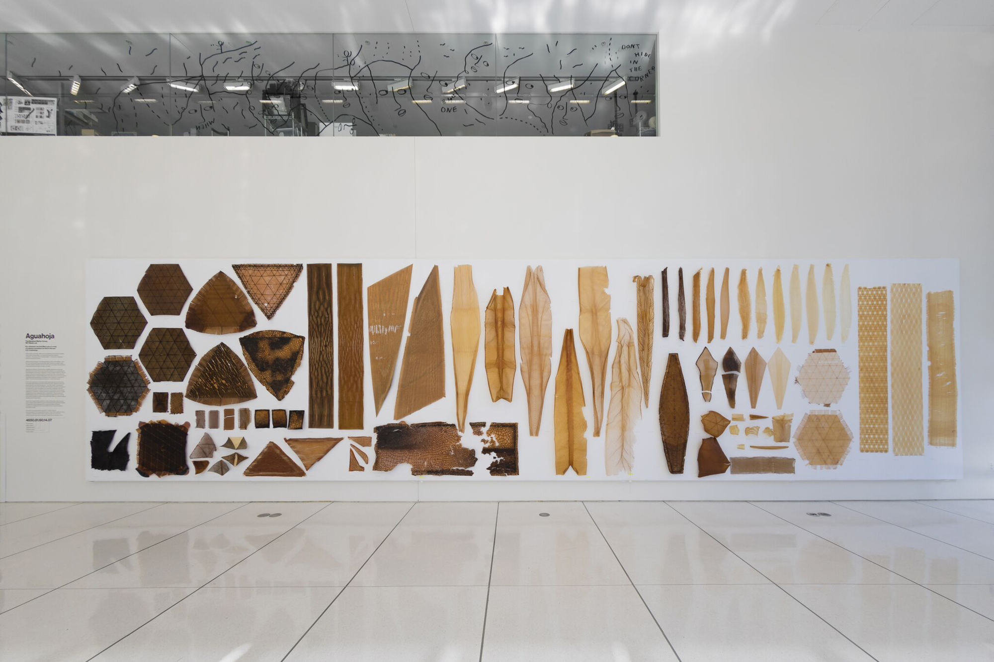 Gallery of Neri Oxman and MIT Develop Programmable Biocomposites for ...