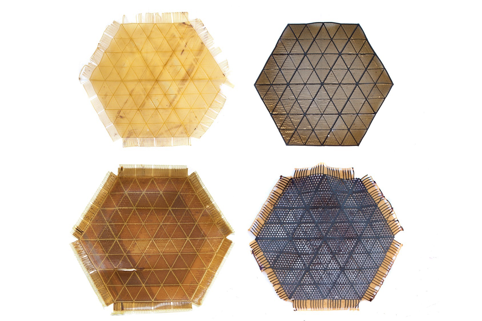 Gallery of Neri Oxman and MIT Develop Programmable Biocomposites for ...