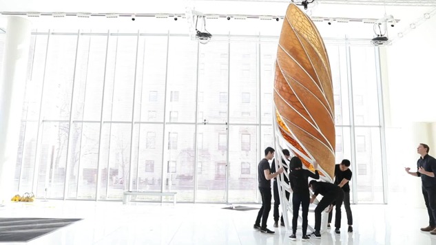 Gallery of Neri Oxman and MIT Develop Programmable Biocomposites for ...