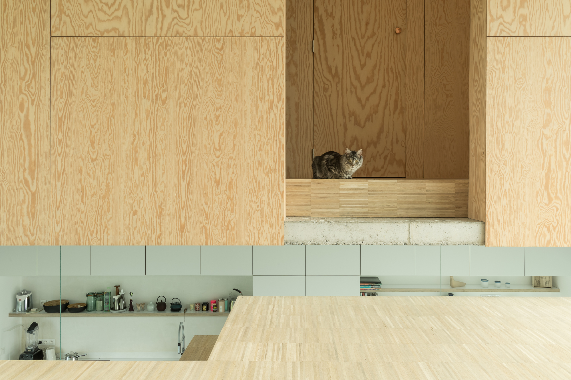 Gallery of Housing BO / LRARCHITECTES - 17