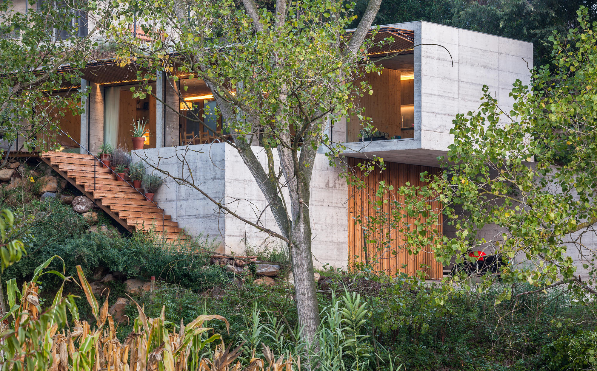 Galería de Casa Retina / Arnau estudi d’arquitectura - 6