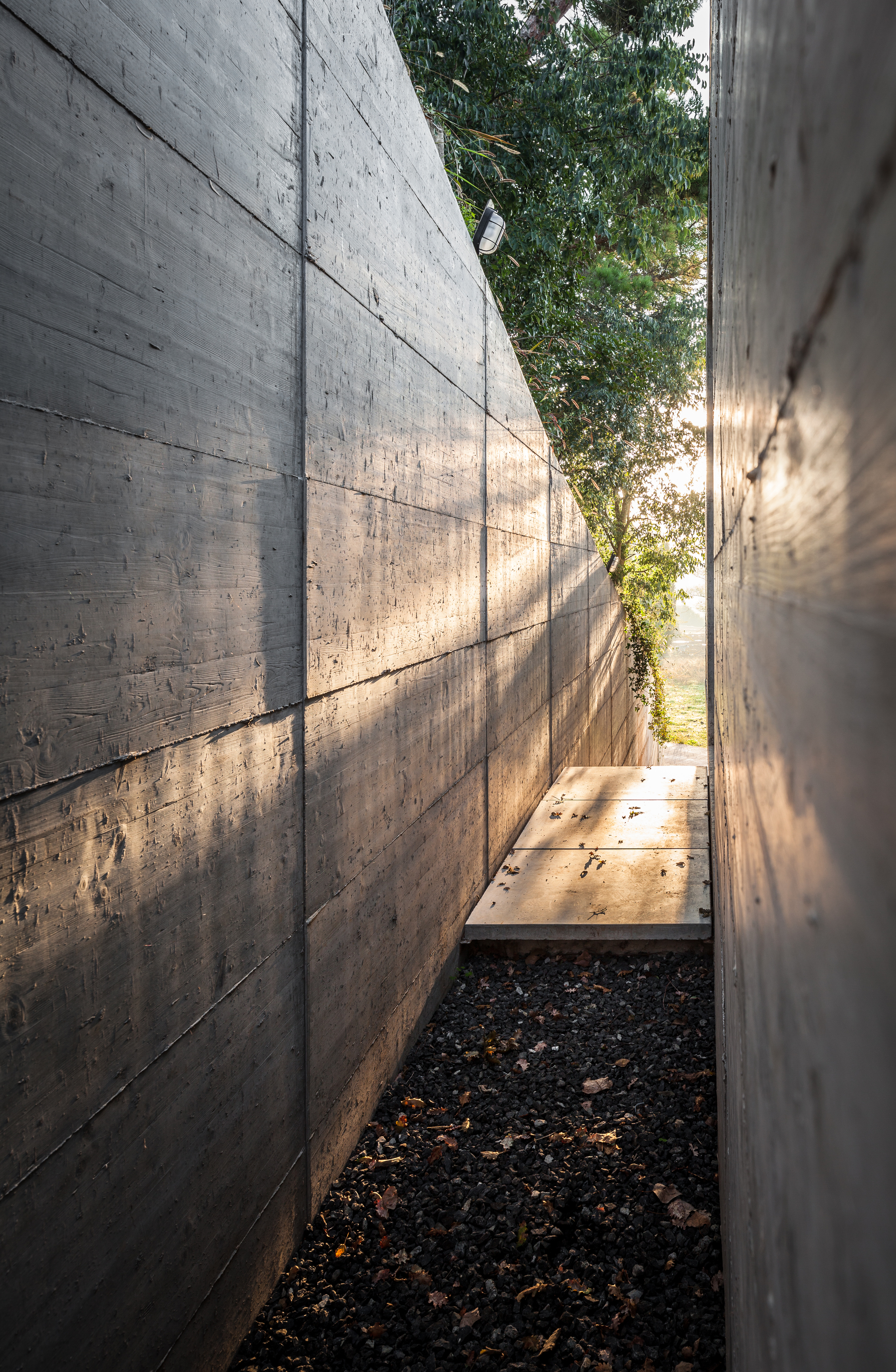 Galería de Casa Retina / Arnau estudi d’arquitectura - 10