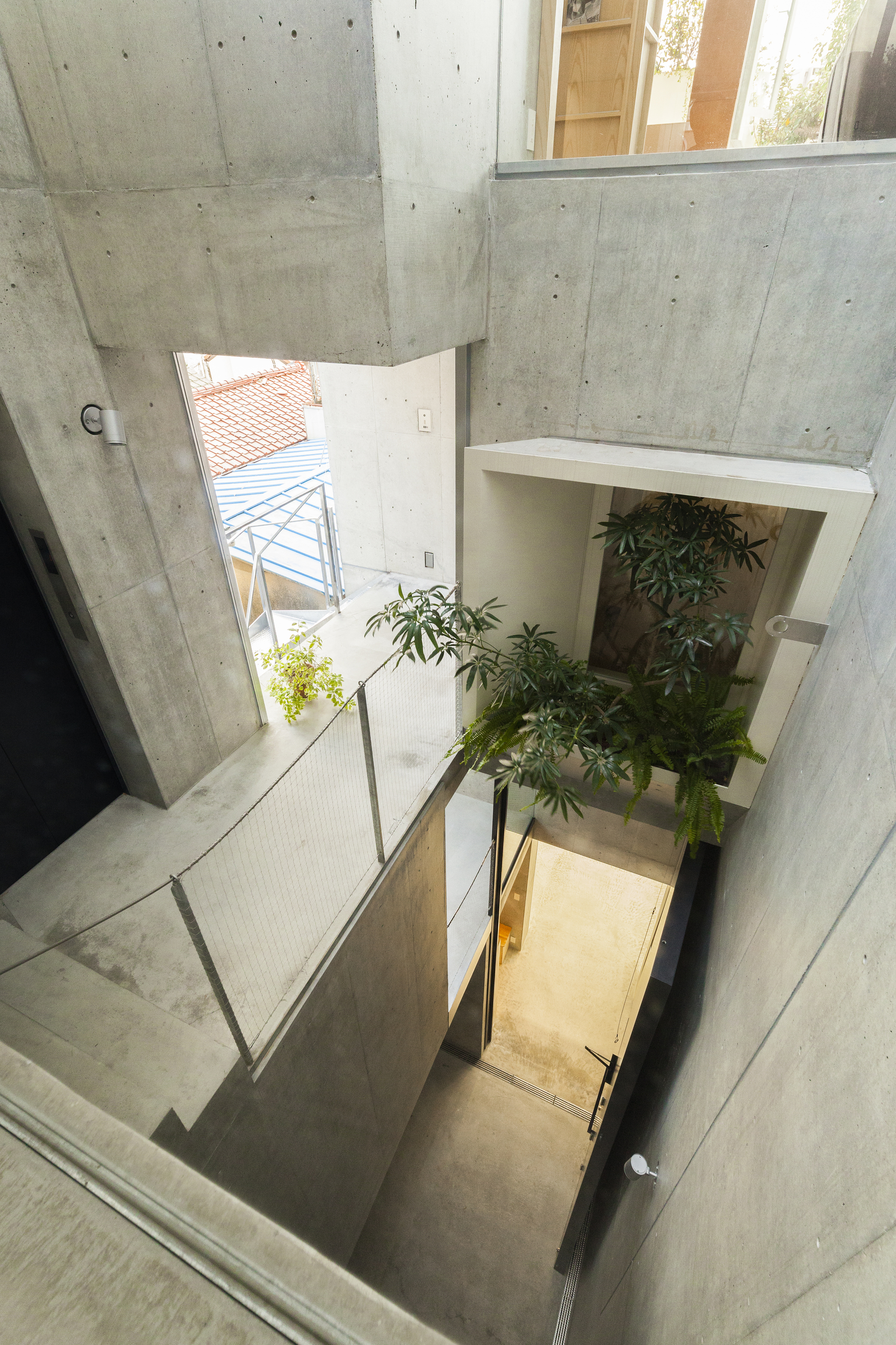 Gallery of Tree-ness House / Akihisa Hirata - 26
