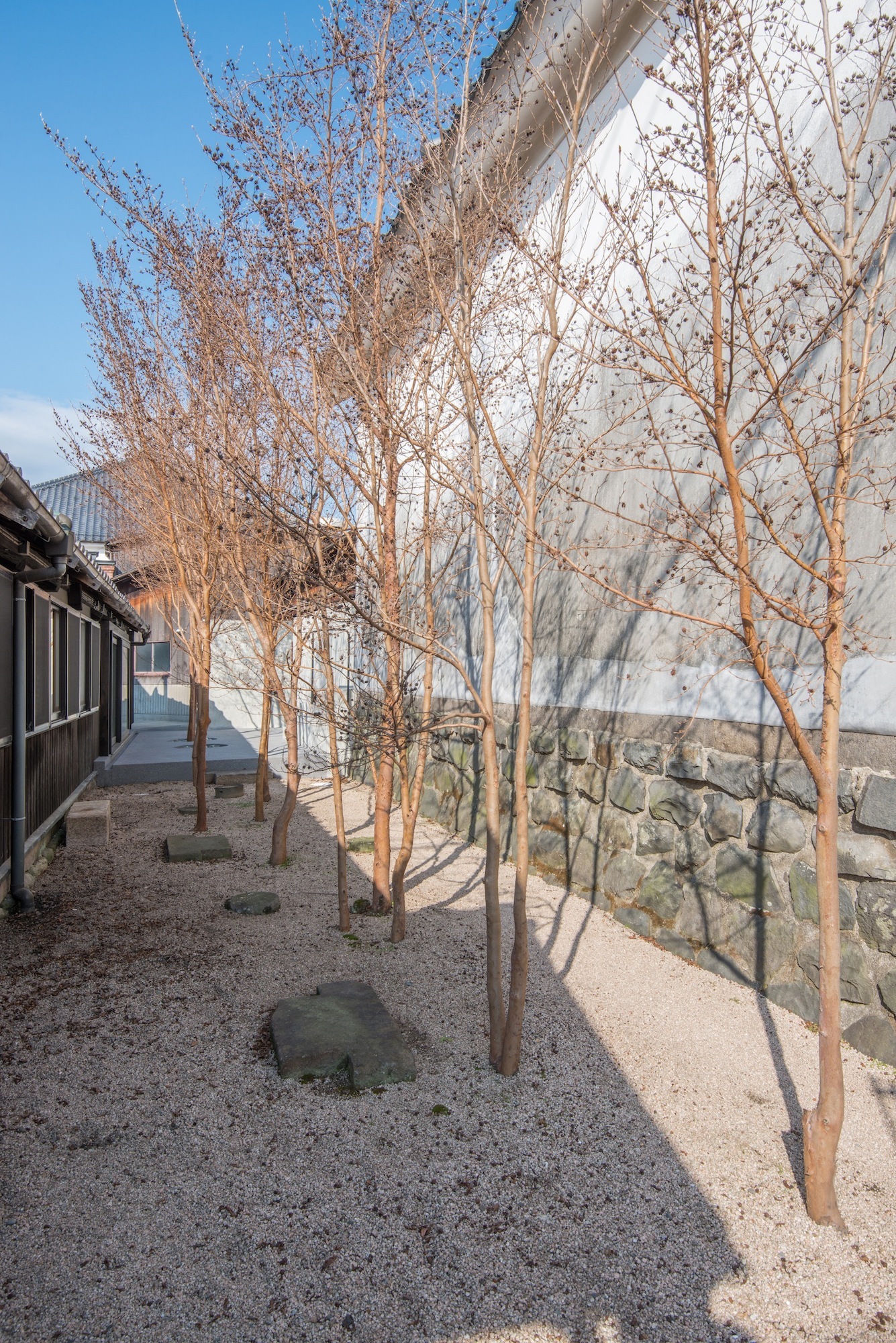 Gallery of Courtyard for Yamaguchi Sake Brewery / CASE-REAL - 11