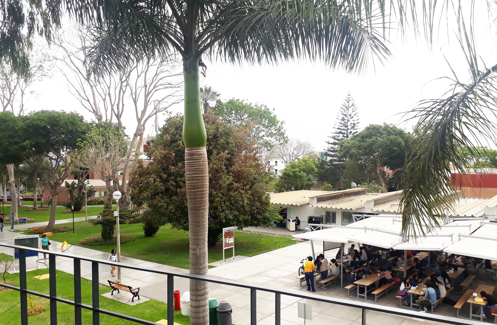 Galería de Conoce a detalle el Primer Lugar del Concurso para el Nuevo ...