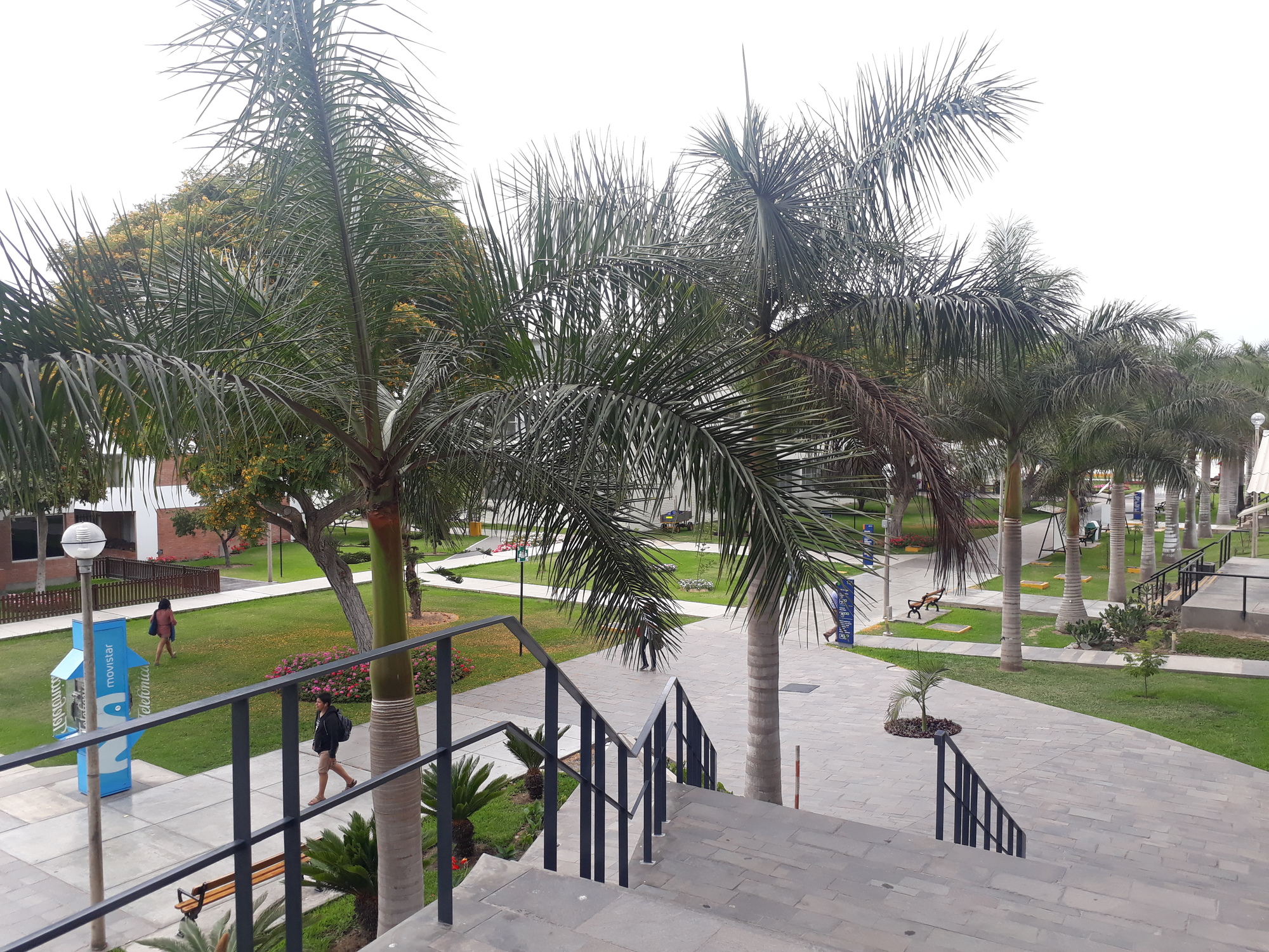 Galería de Conoce a detalle el Primer Lugar del Concurso para el Nuevo ...