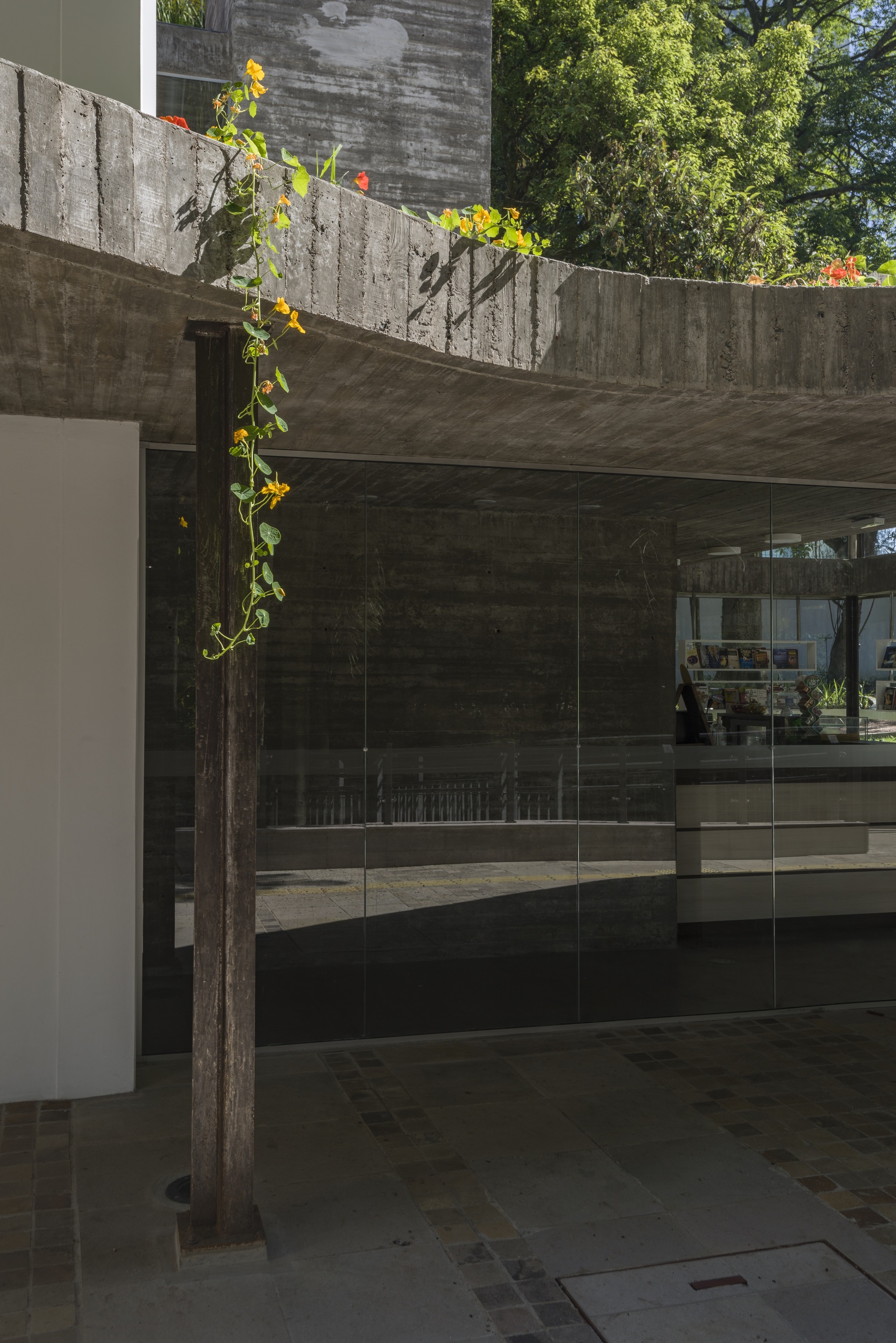 Gallery of Rosa House / Kiefer Arquitetos - 18