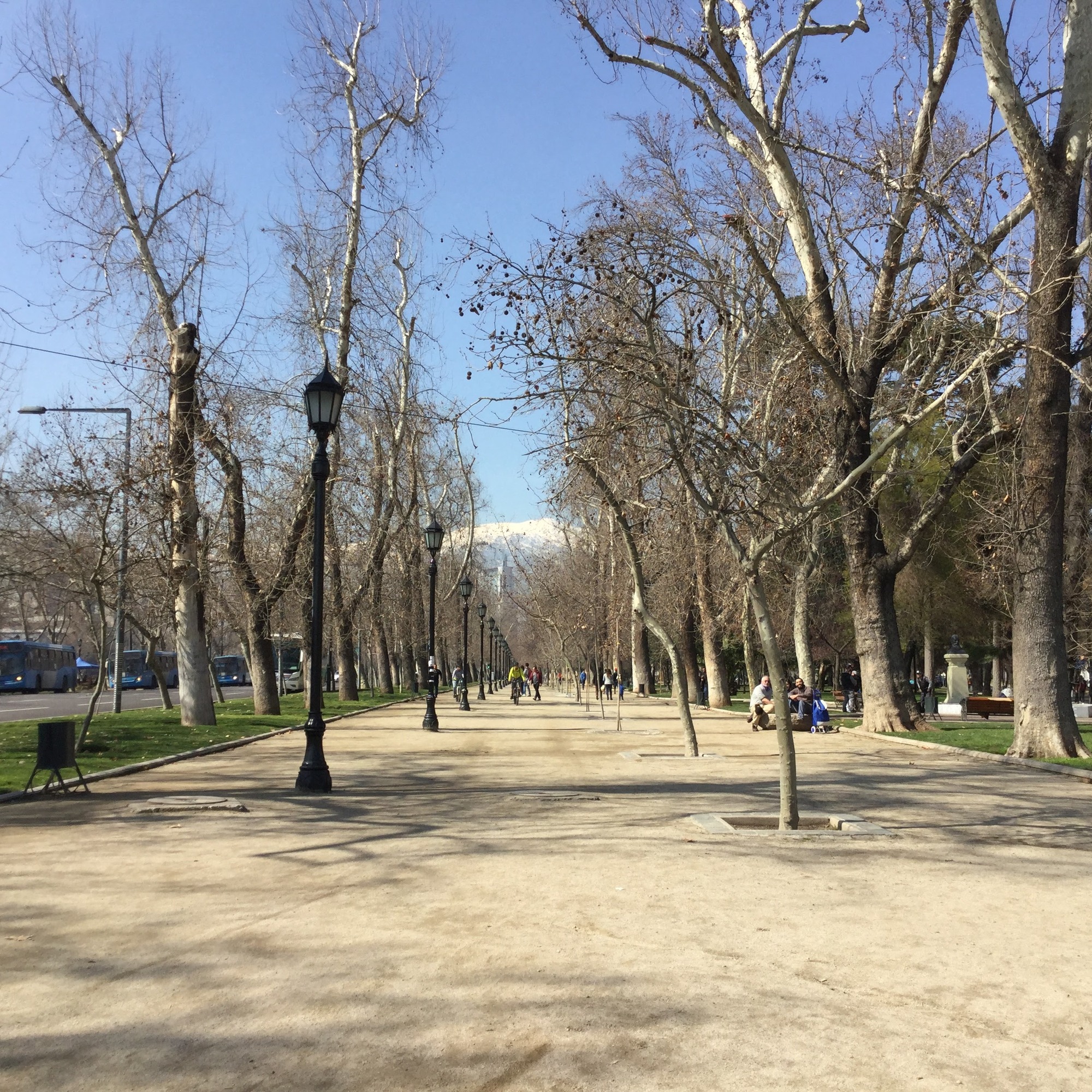 Galería de ¿Por qué es importante el Parque Forestal de Santiago de ...