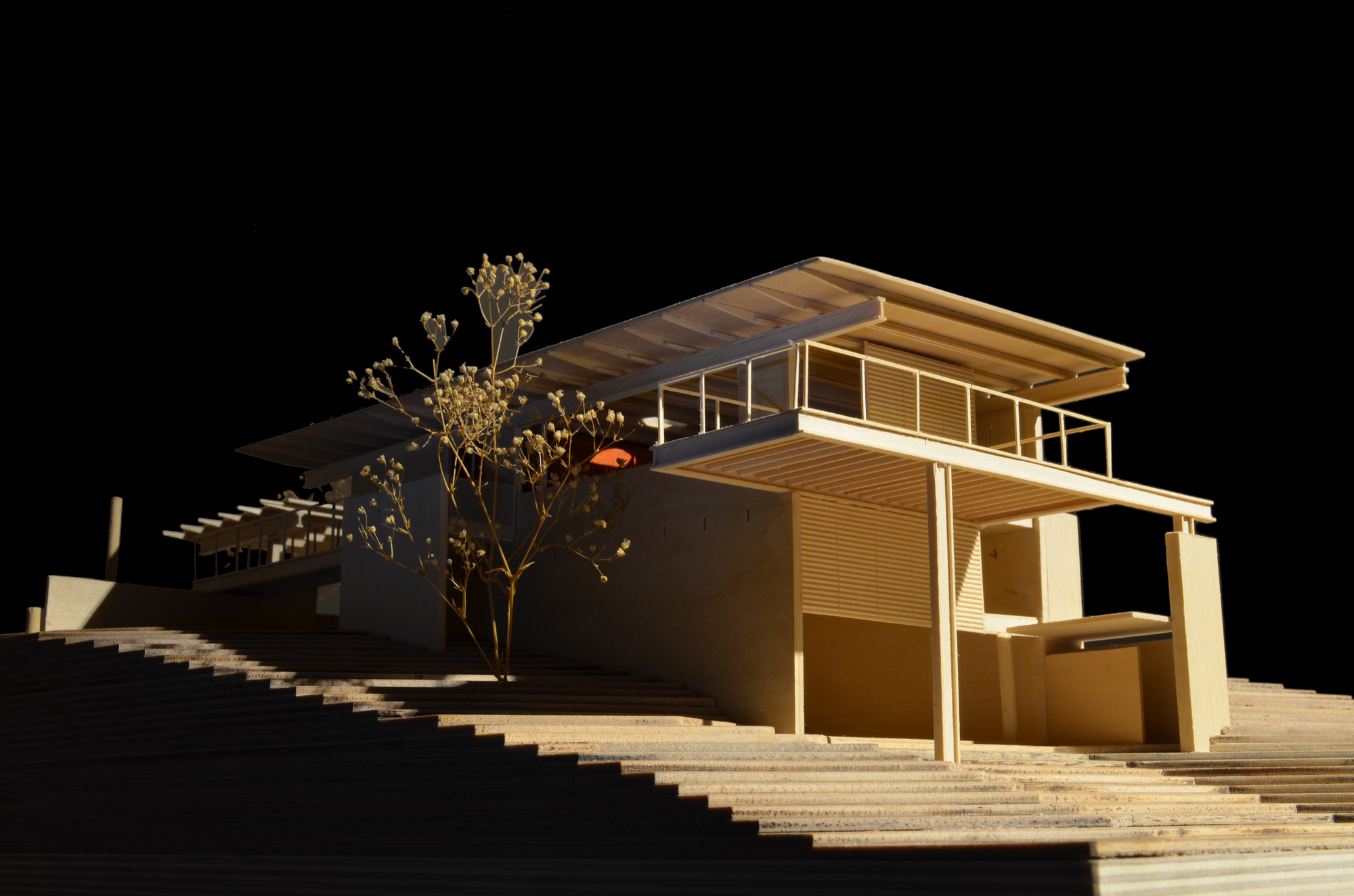 Gallery of DWC House / Rob Paulus Architects - 54