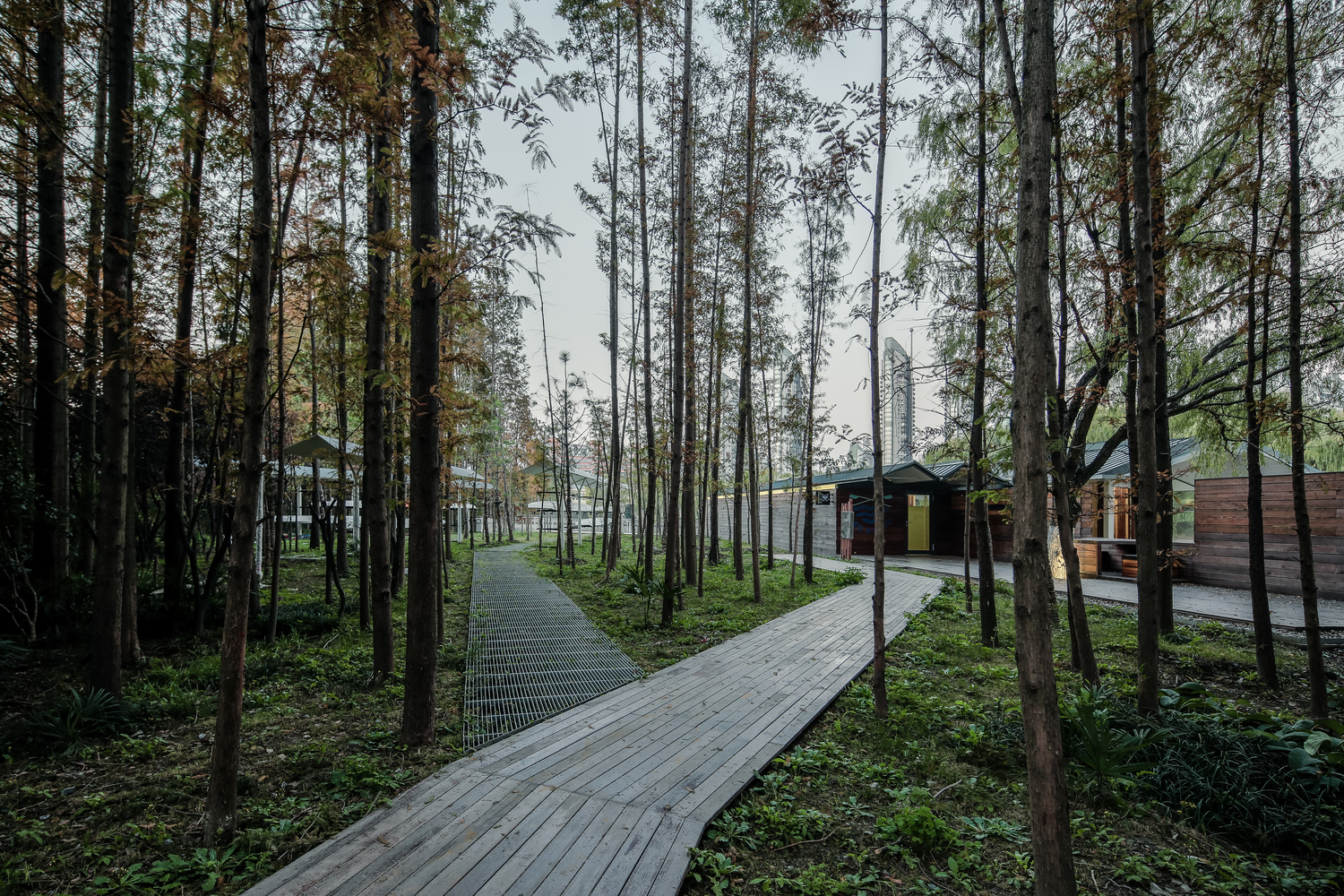 Gallery of Deep Dive Rowing Club / Scenic Architecture Office - 13