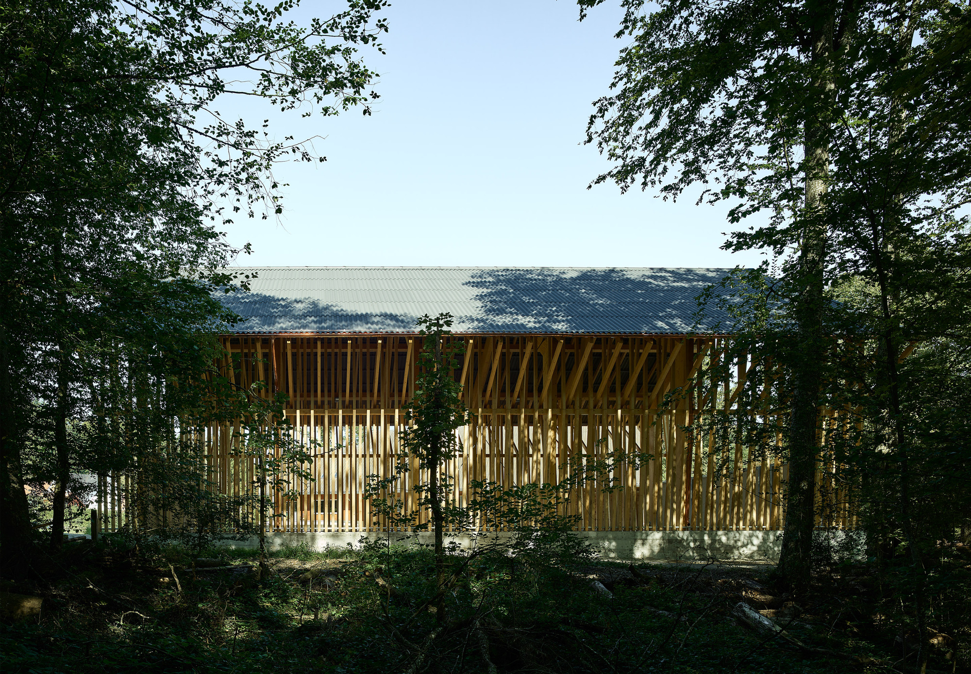 Shed for Firewood / Clou Architekten | ArchDaily