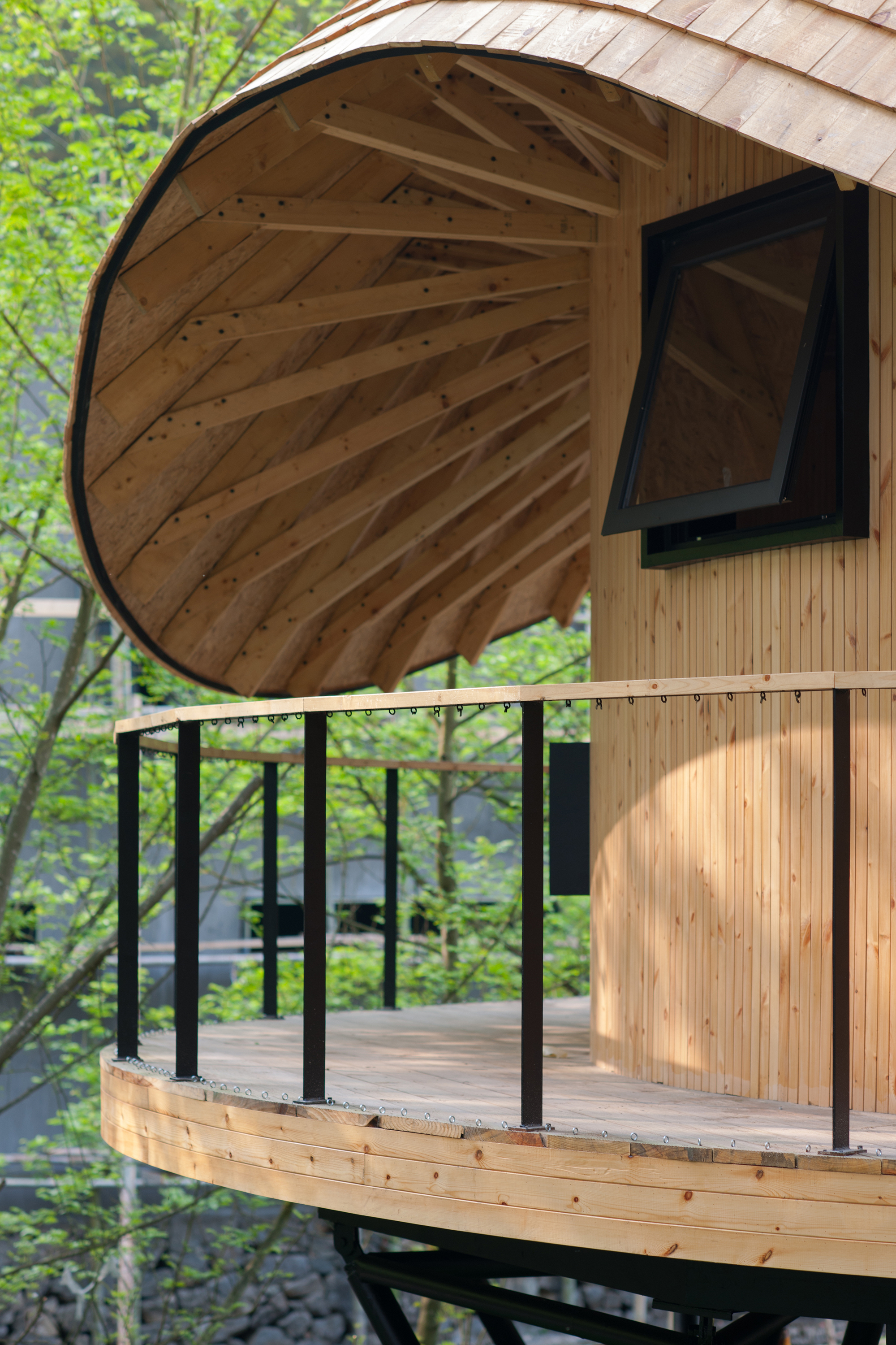 Gallery of Treewow O - A Tree House of Curved Round Roof / MONOARCHI - 12