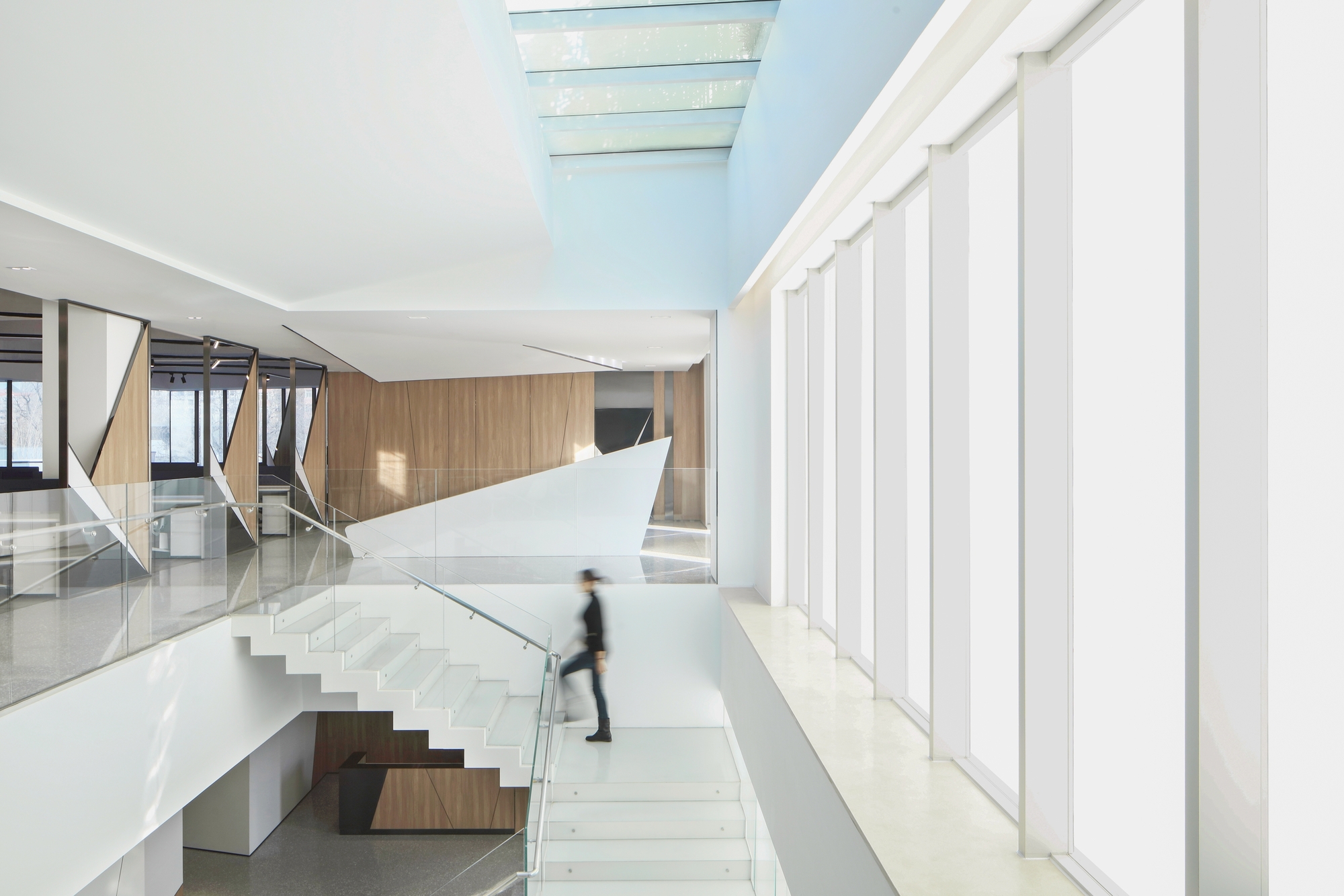 Gallery of MOMO Office / PAL Design - 11