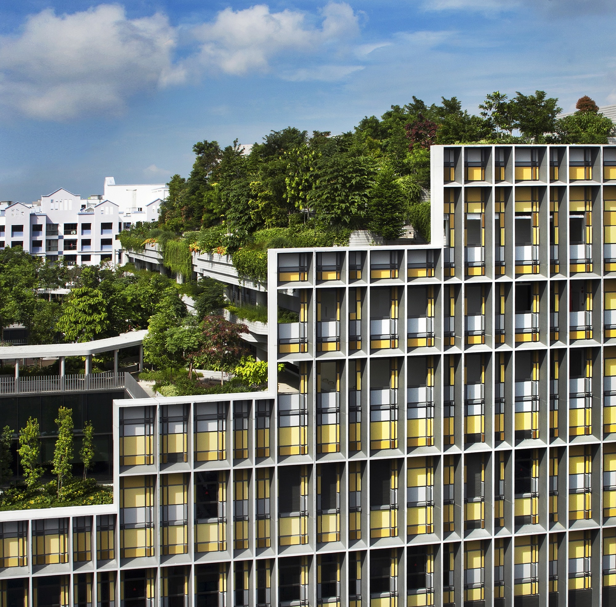 Best International Projects of 2018 Awarded by Australian Institute of ...