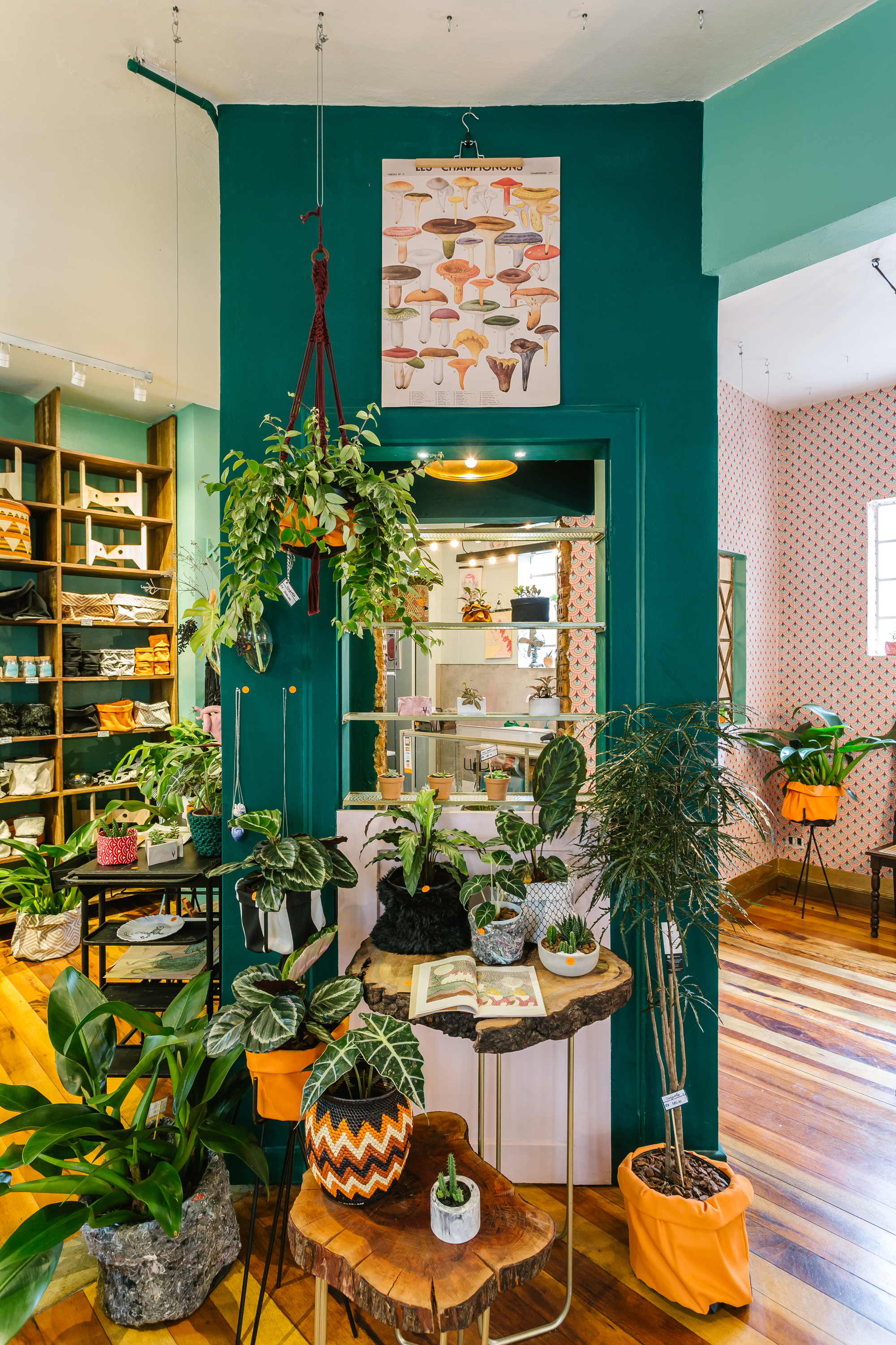 Galeria de Botanique Café. Bar. Plantas / Moca Arquitetura - 4