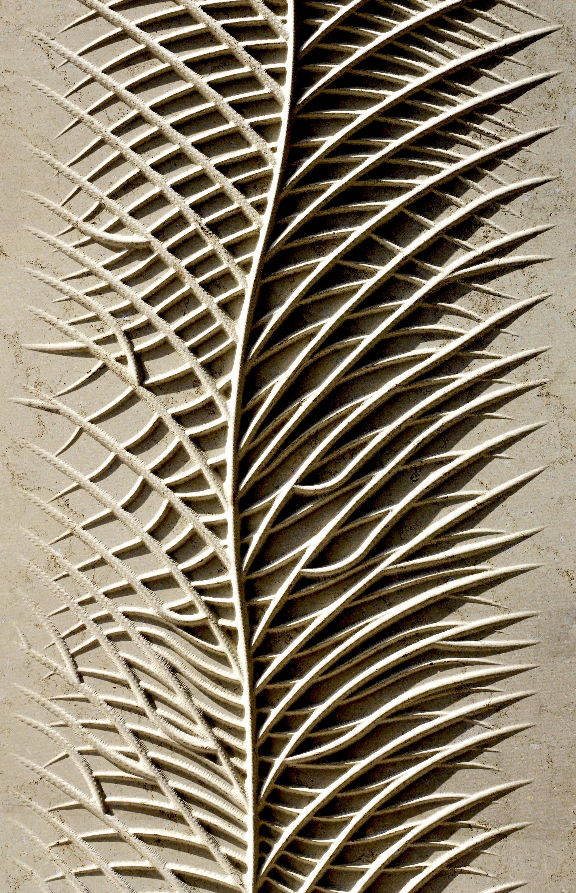 Gallery of These CNC Prototypes Were 3-D Mapped From Natural Forms - 21