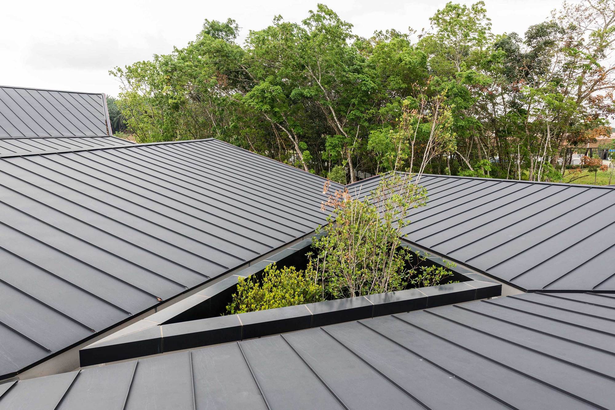 Galería de Galería Red Hill / MOA Architects + Formzero - 14