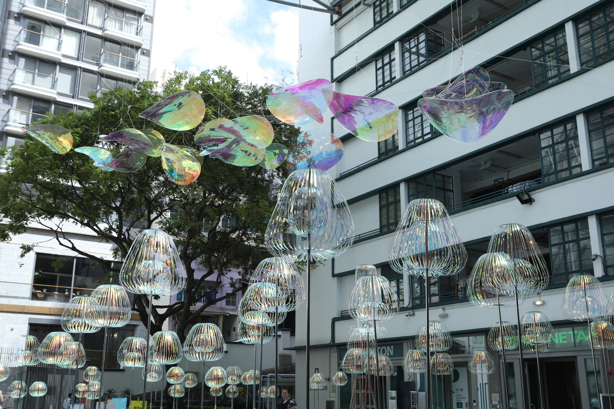 Gallery of Cuddle Bubble / AaaM Architects - 4