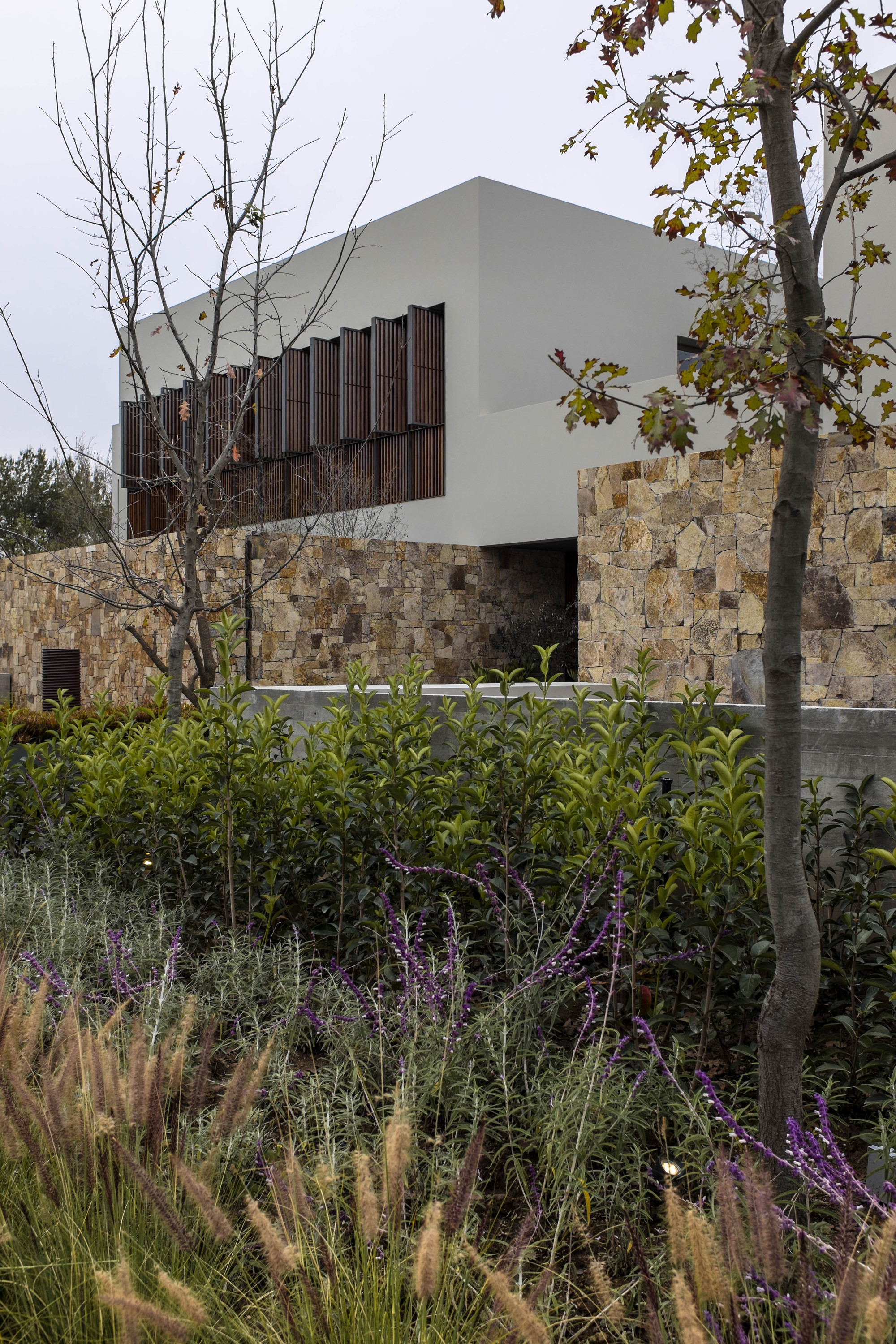 Gallery of AP House / ELÍAS RIZO ARQUITECTOS - 20