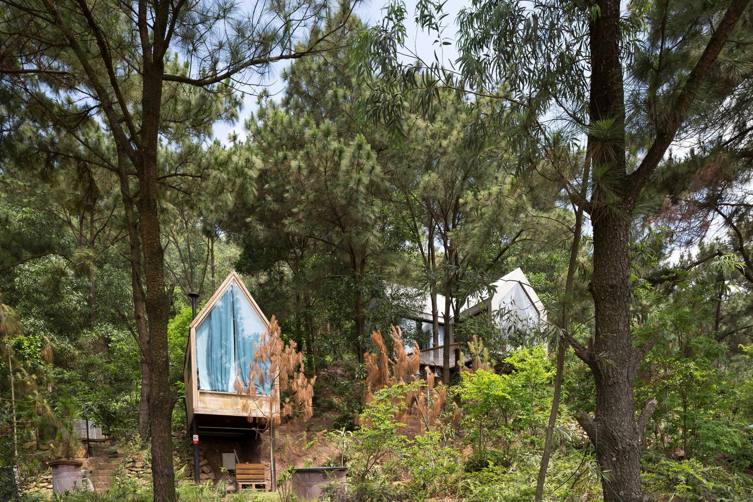 Gallery of Forest House 02 / D12 Architect - 19