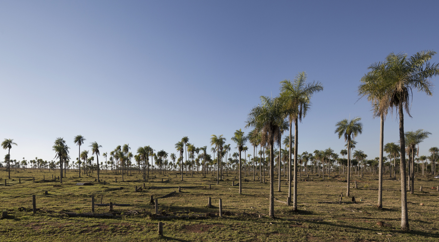 Galería de Vivienda Takuru / José Cubilla - 29