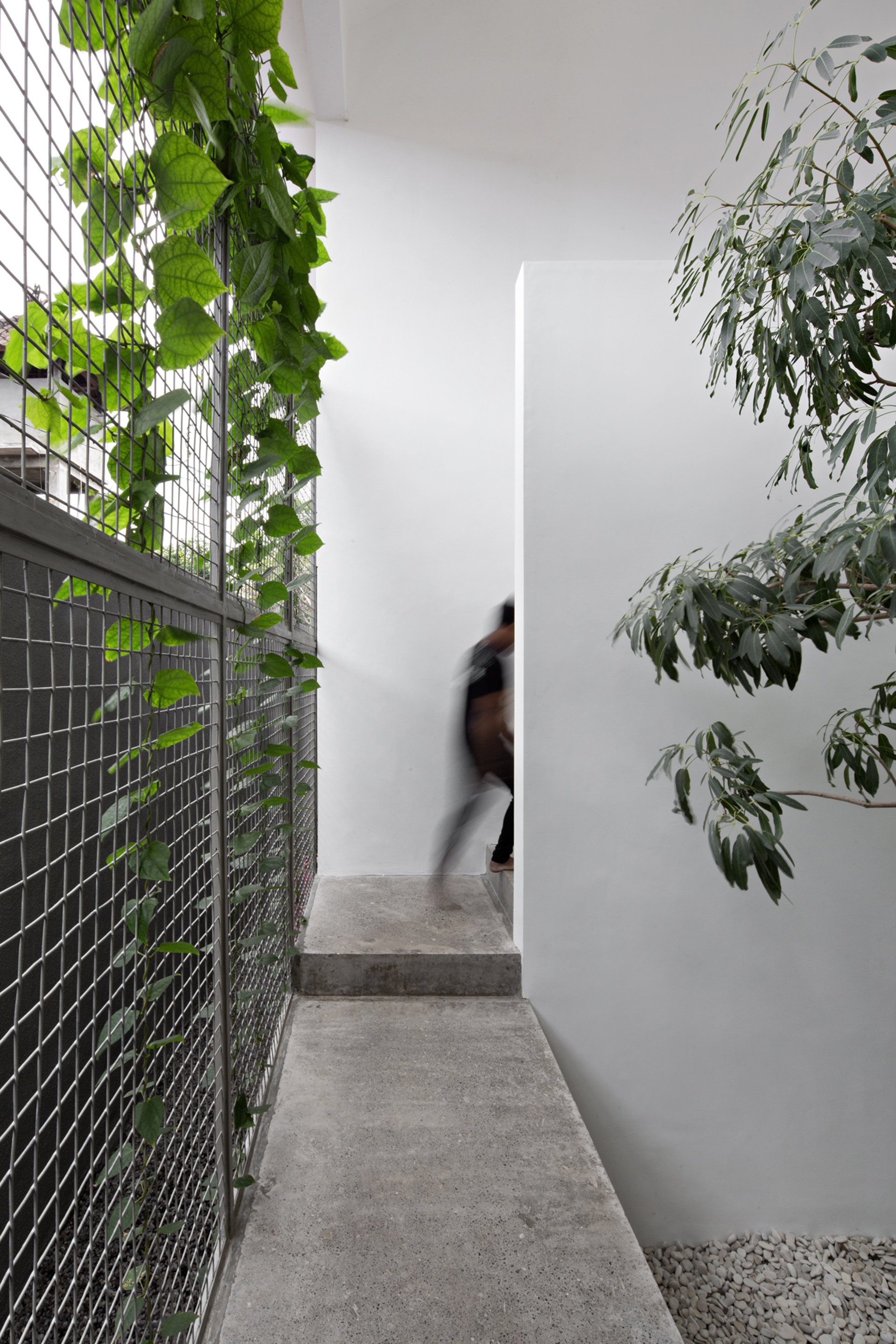 Gallery of Misol House / Somia Design - 7