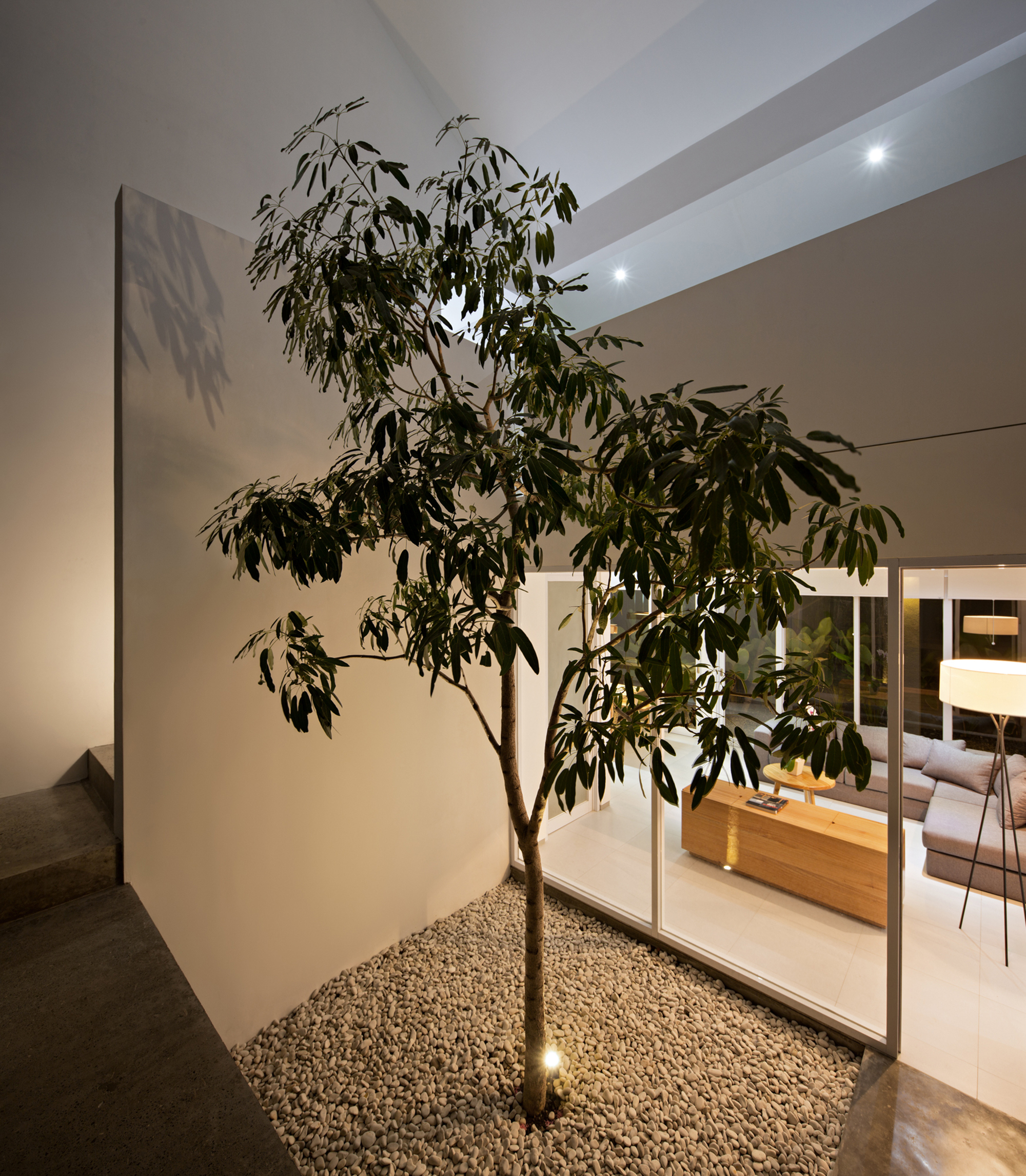 Gallery of Misol House / Somia Design - 6