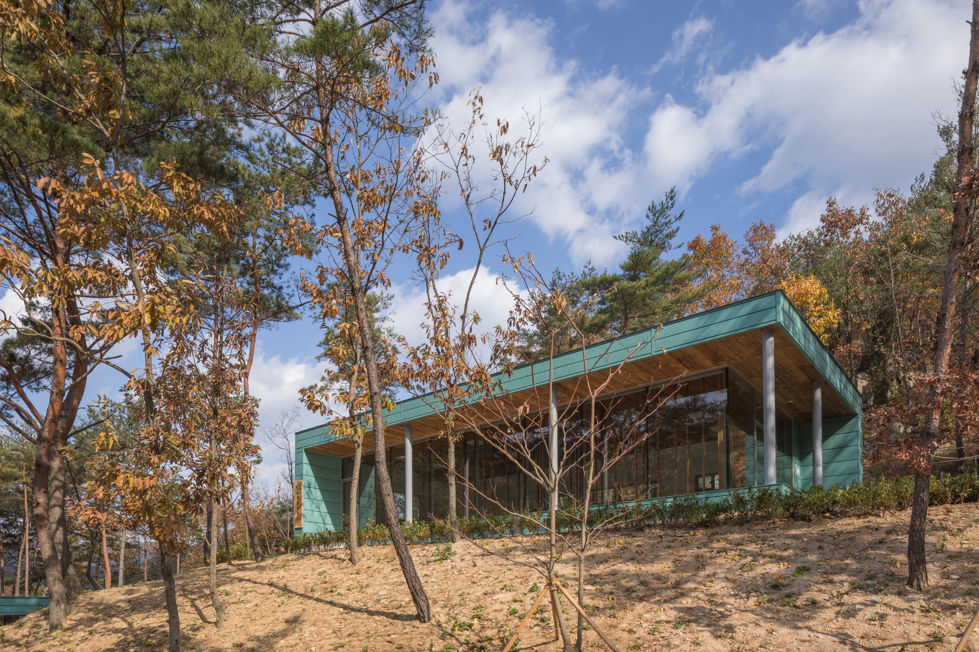 Gallery of Busan Forest of Healing Visitor Center / Architects Group ...