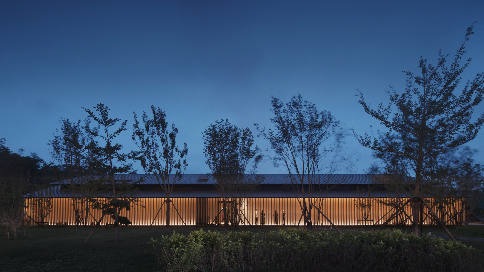 Forest Dining Club / PLAT ASIA | ArchDaily