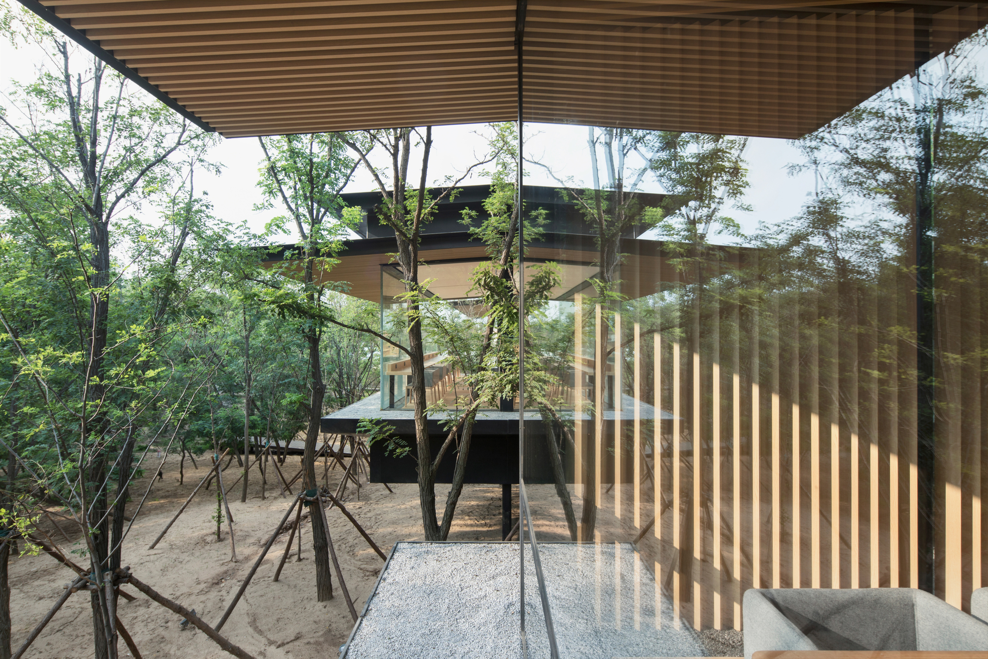 Gallery of Forest Dining Club / PLAT ASIA - 3