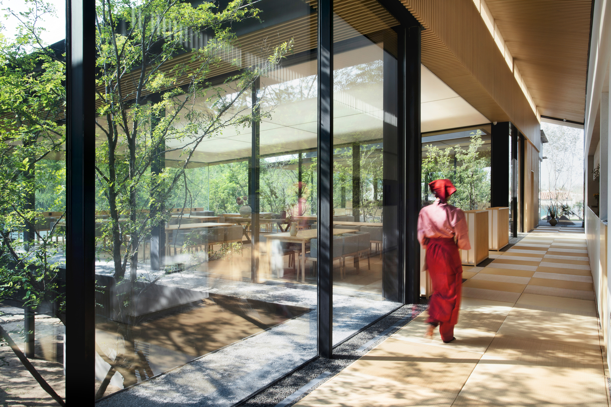 Gallery of Forest Dining Club / PLAT ASIA - 5