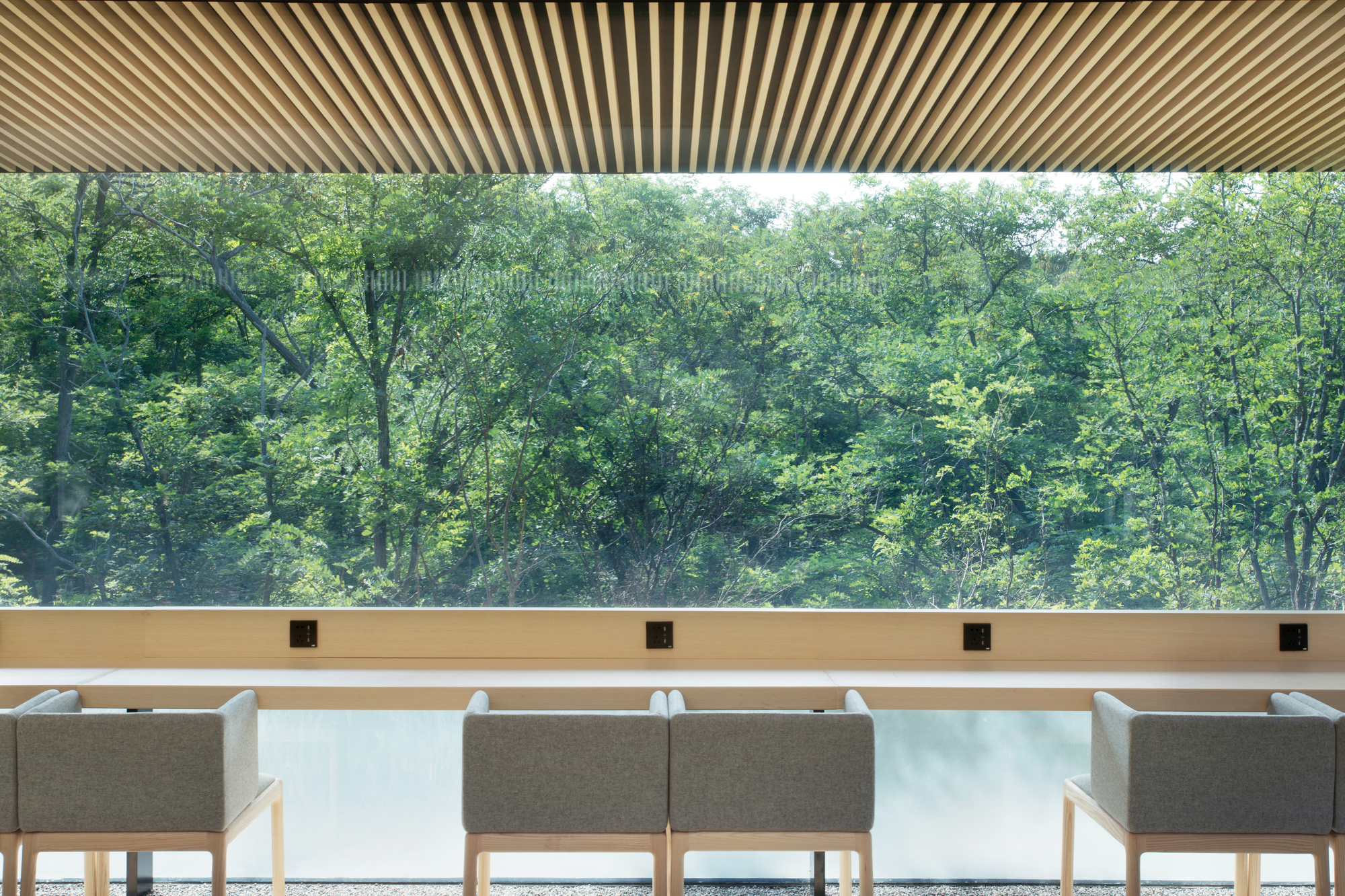 Gallery of Forest Dining Club / PLAT ASIA - 10