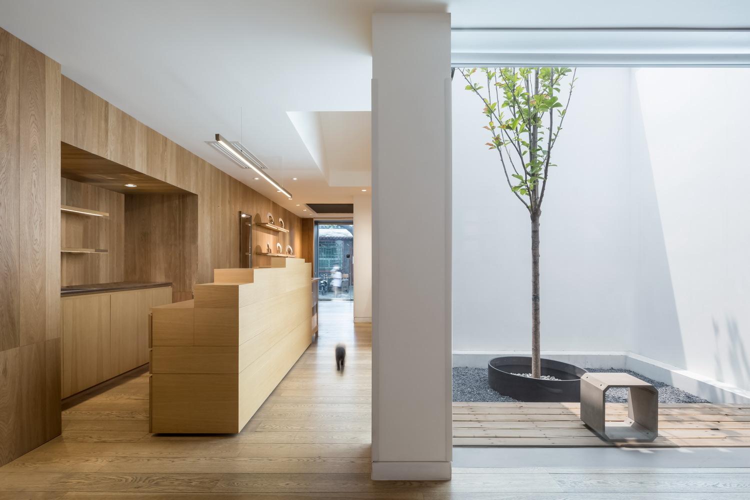 Gallery of JING FAN / Golucci Interior Architects - 3