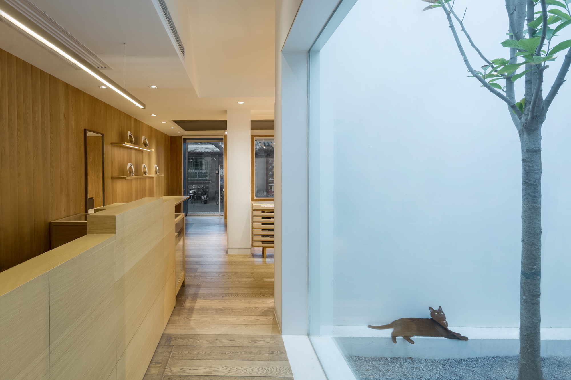 Gallery of JING FAN / Golucci Interior Architects - 11