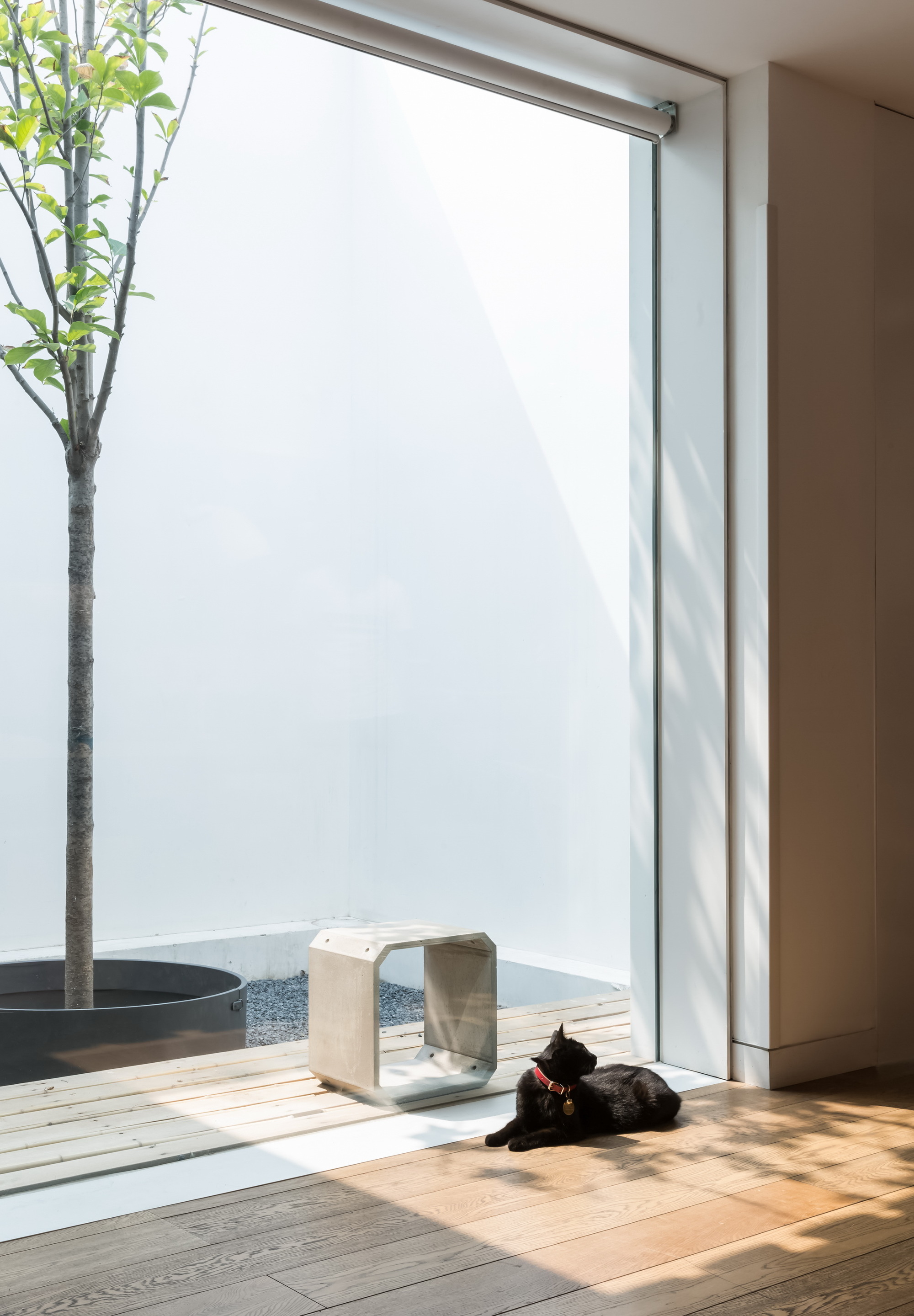 Gallery of JING FAN / Golucci Interior Architects - 17