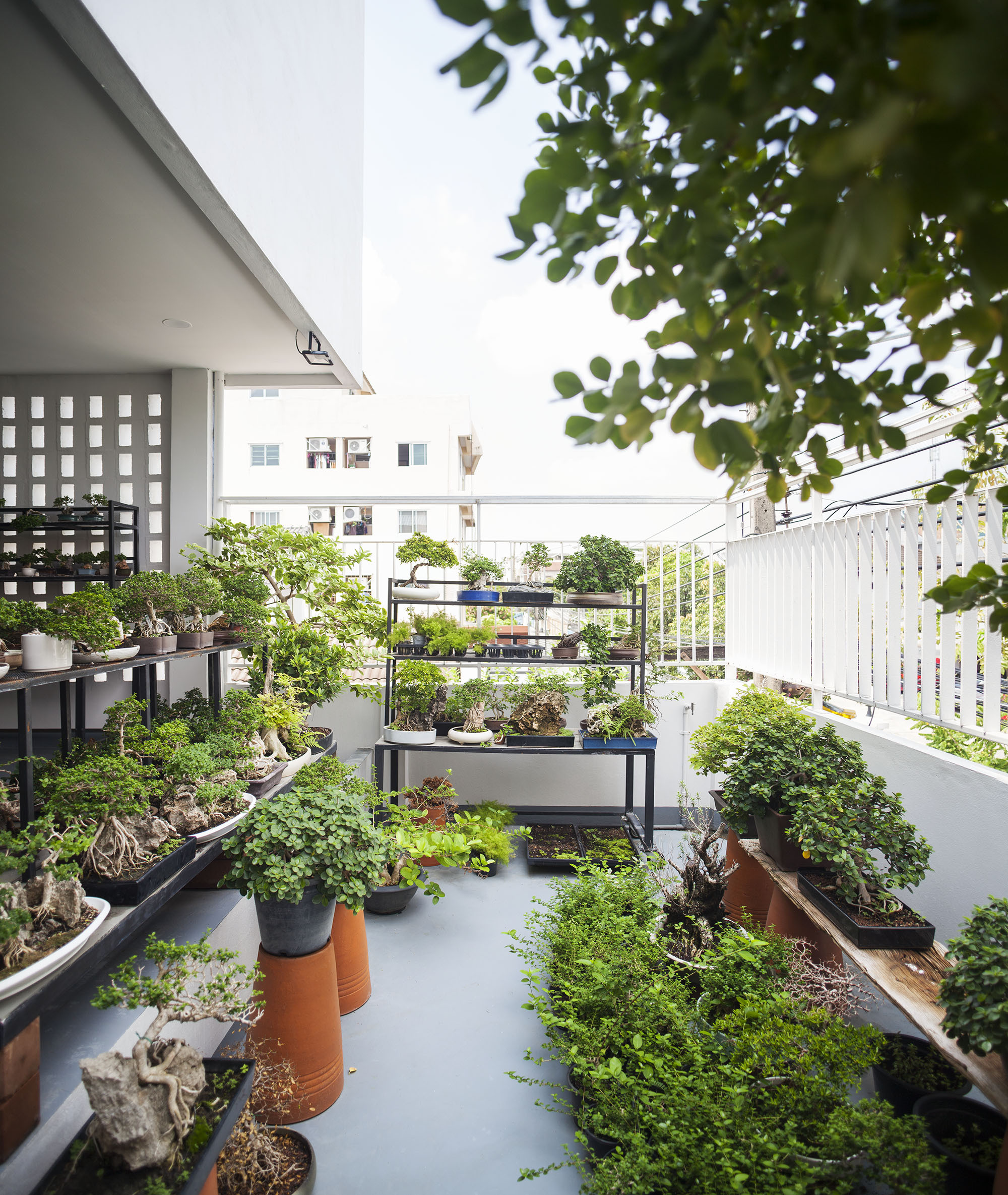 Gallery of BonsonBonsai House / S+S Architects - 16