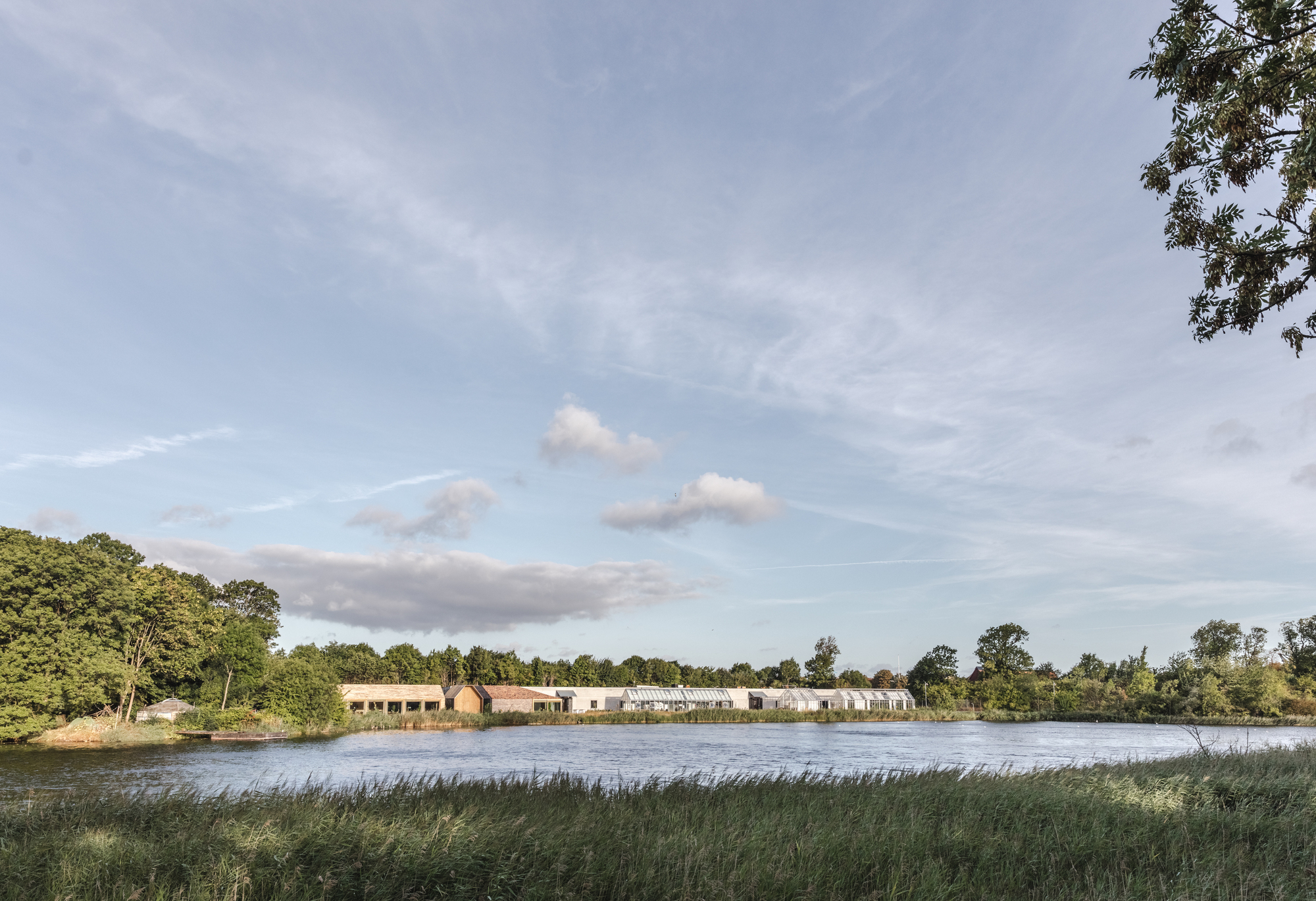 Gallery of NOMA 2.0 / BIG - 30