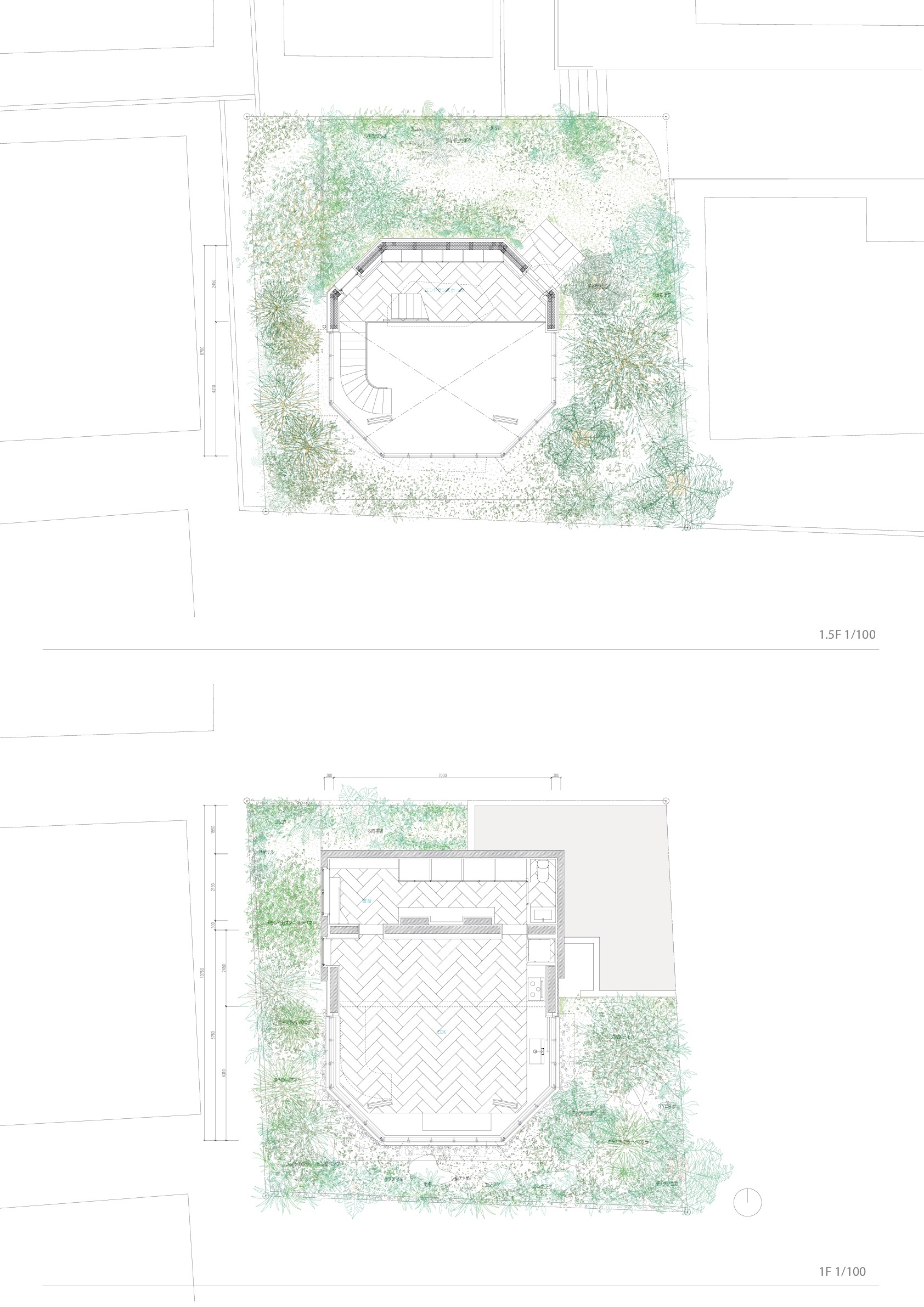 Gallery of Todoroki House in Valley / Atelier Tsuyoshi Tane Architects - 18